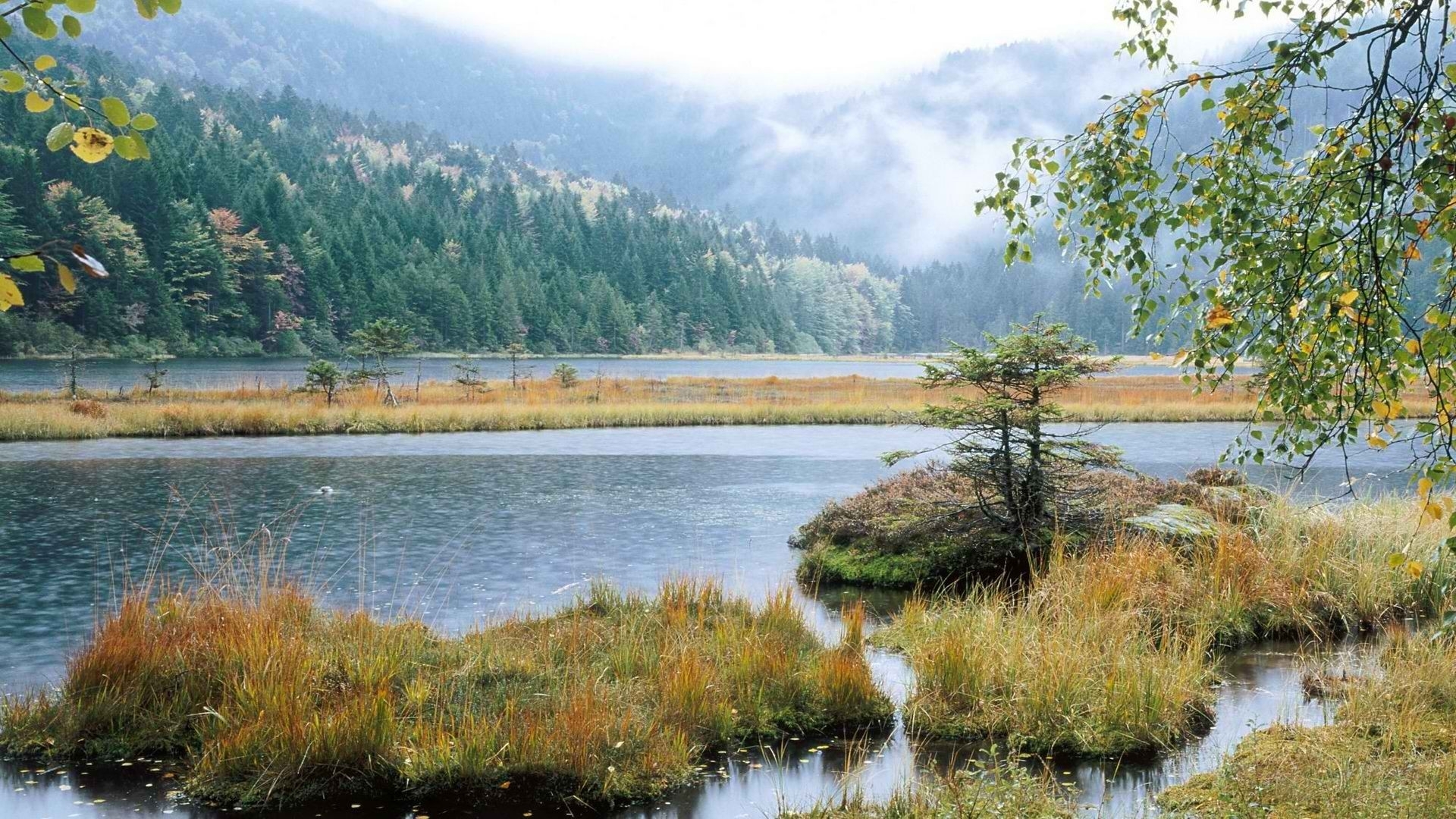 nature, Landscapes, Lakes, Water, Islands, Shore, Storm, Rain, Trees ...