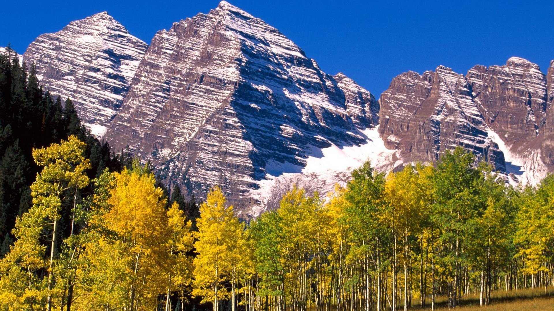 mountains, Landscapes, White, Forests, National, Colorado, Bells ...