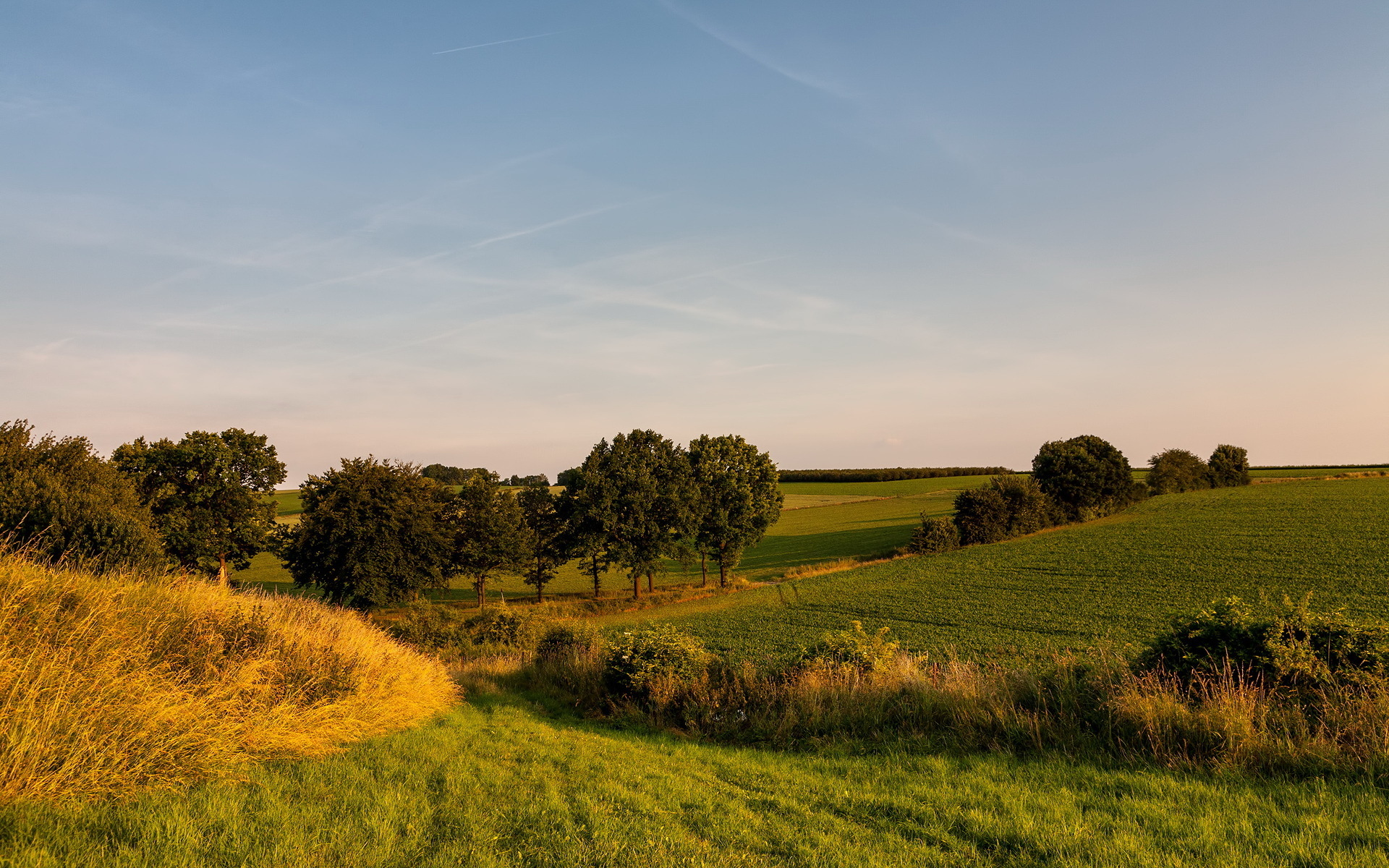 28829 Wallpapers HD / Desktop and Mobile Backgrounds