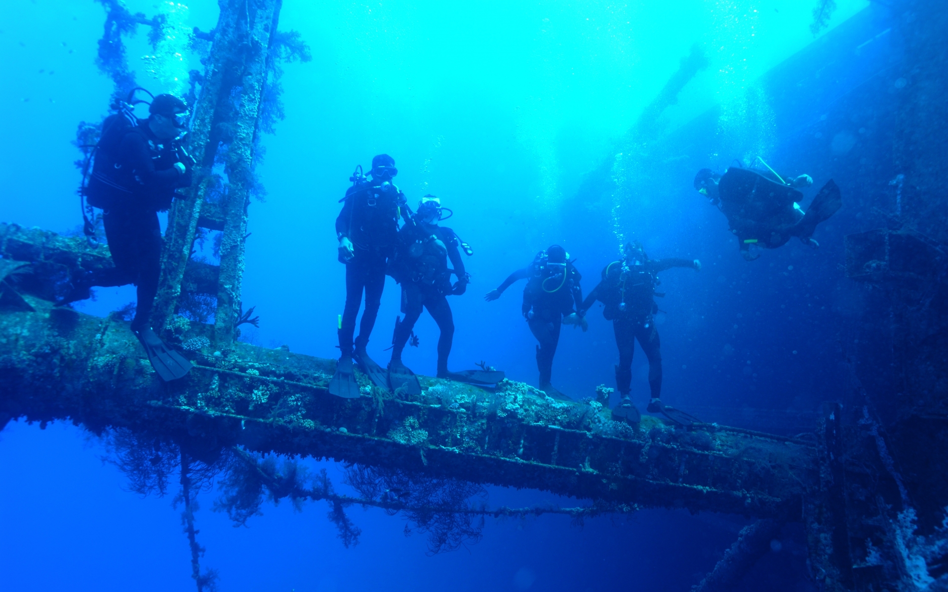 1920x1200, Soldiers, Army, Training, Military, Underwater, Scuba ...