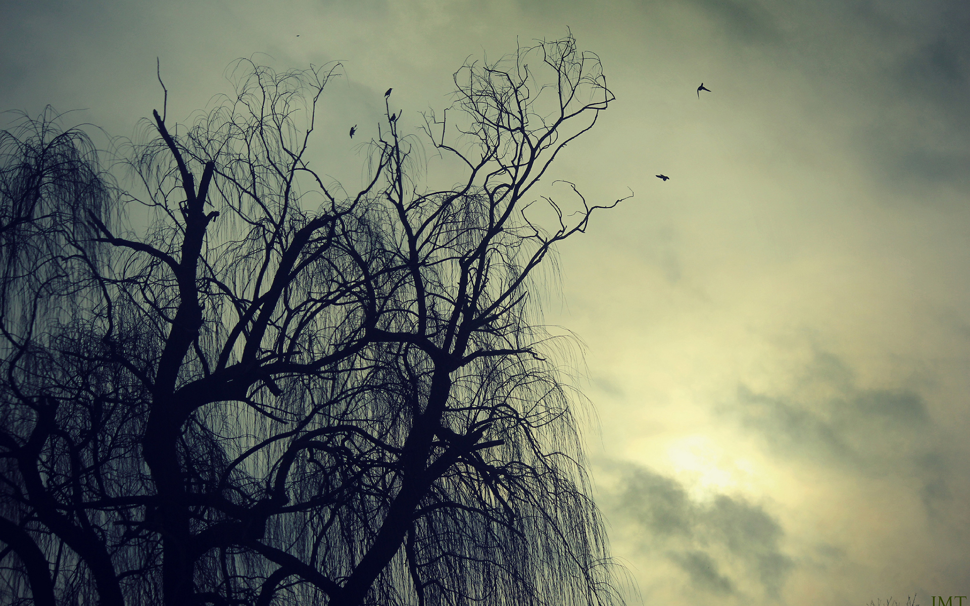 mood, Sky, Clouds, Birds, Flock, Sun, Sunlight Wallpapers HD / Desktop ...