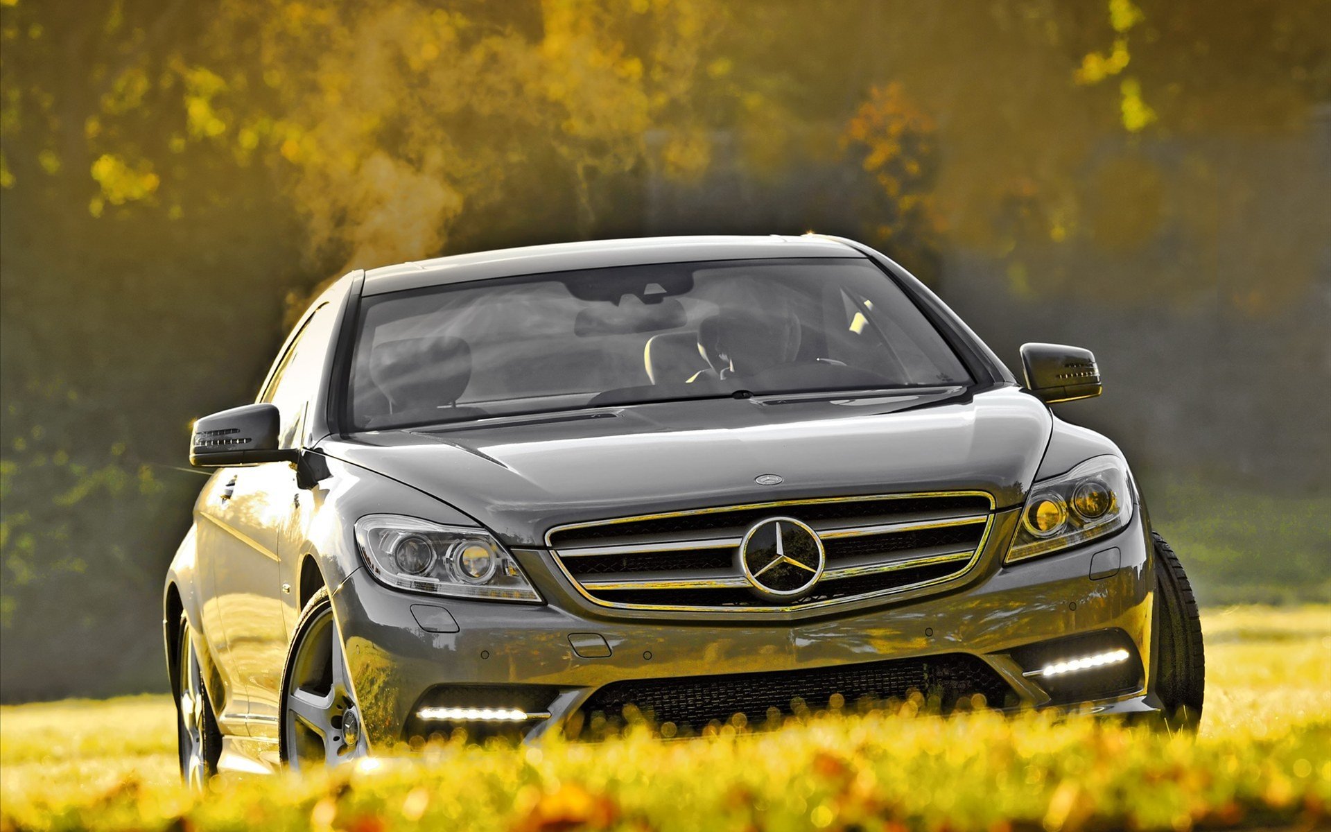 nature, Trees, Cars, Grass, Silver, Mercedes benz Wallpapers HD ...