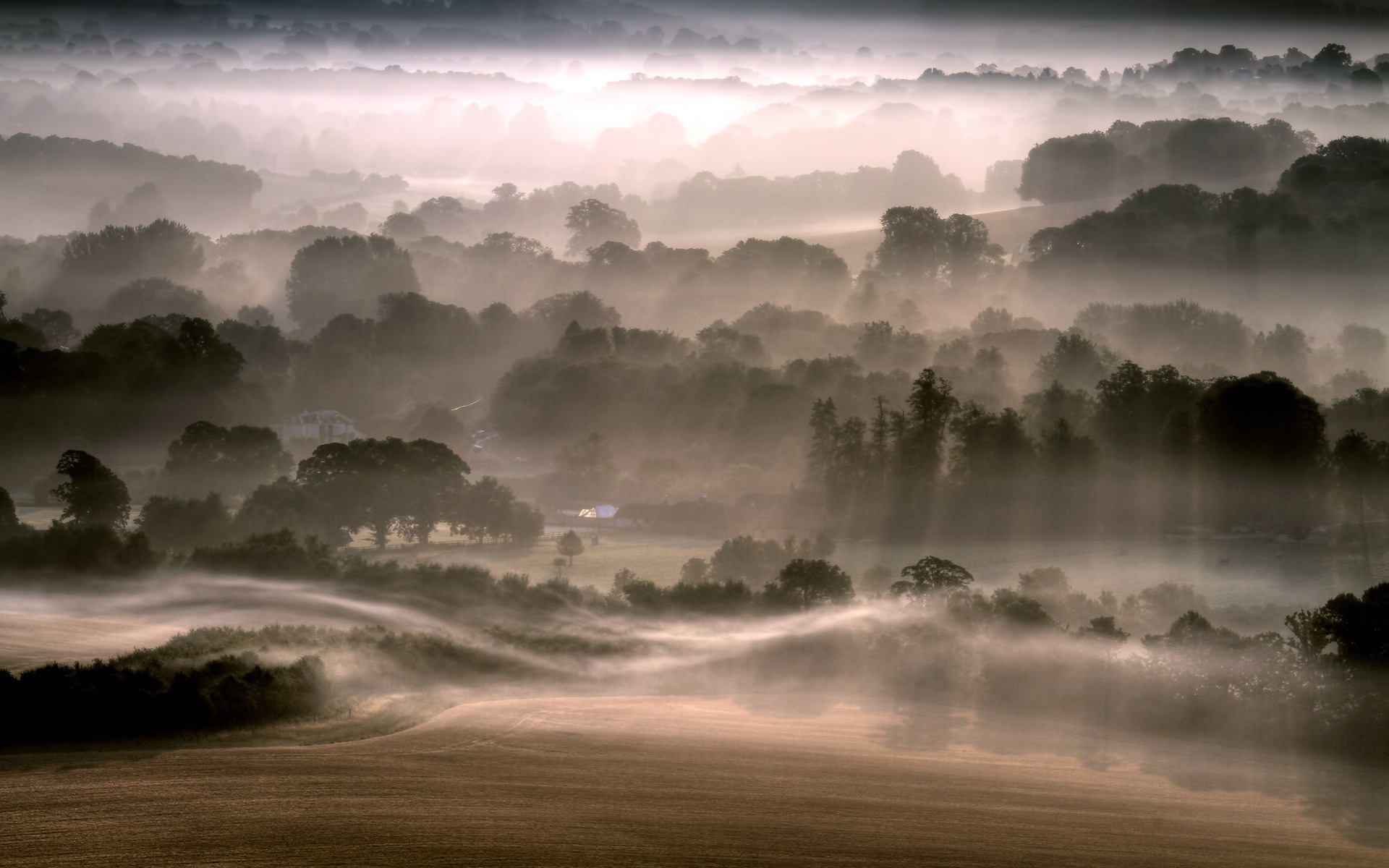 trees, Fog Wallpapers HD / Desktop and Mobile Backgrounds