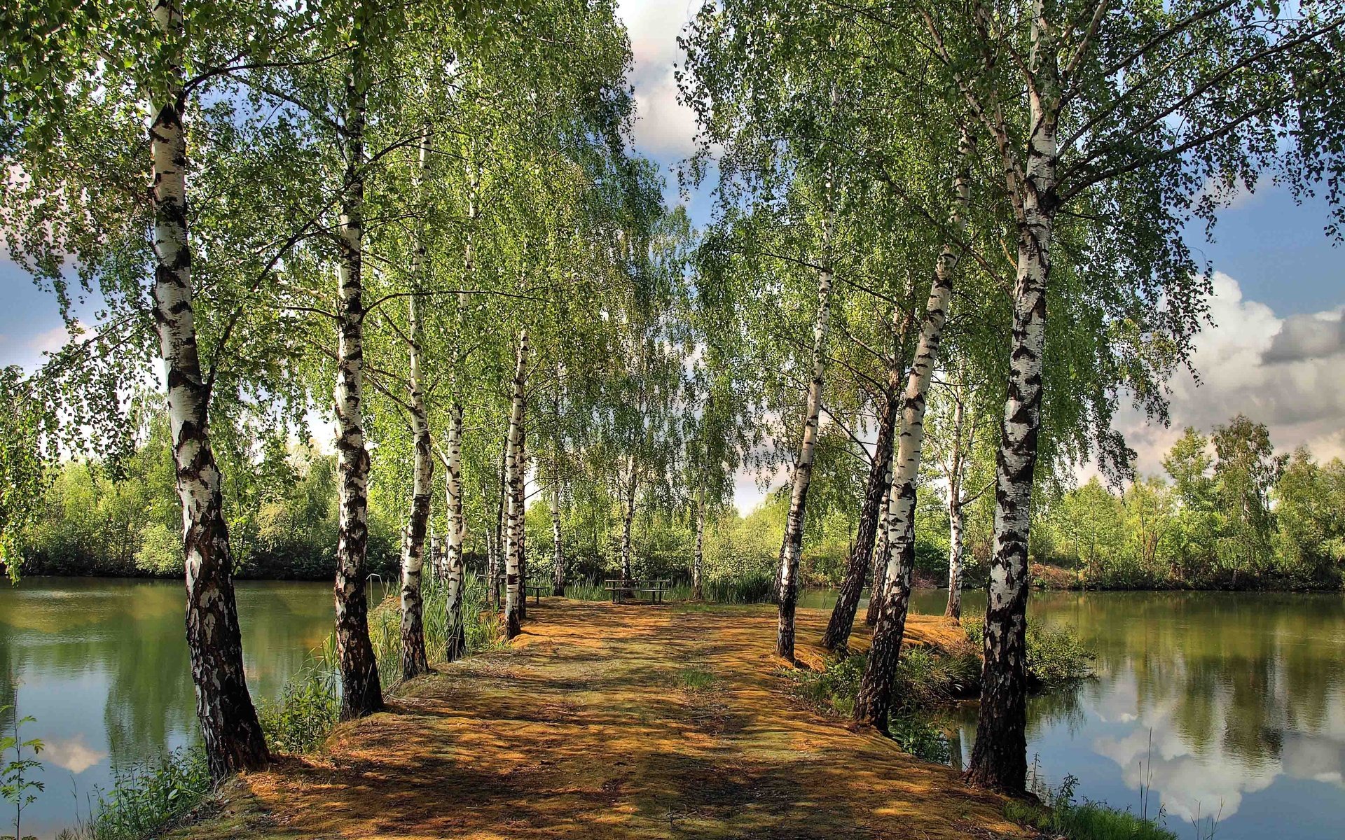 birchtrees, Path, Through, Lake Wallpapers HD / Desktop and Mobile ...