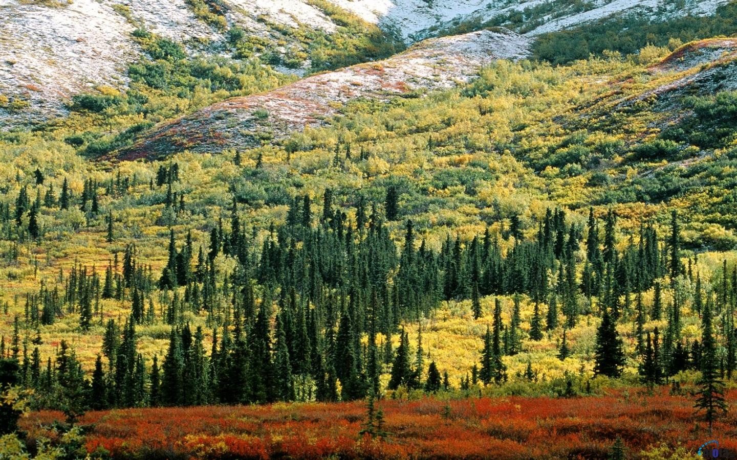 landscapes Wallpapers HD / Desktop and Mobile Backgrounds