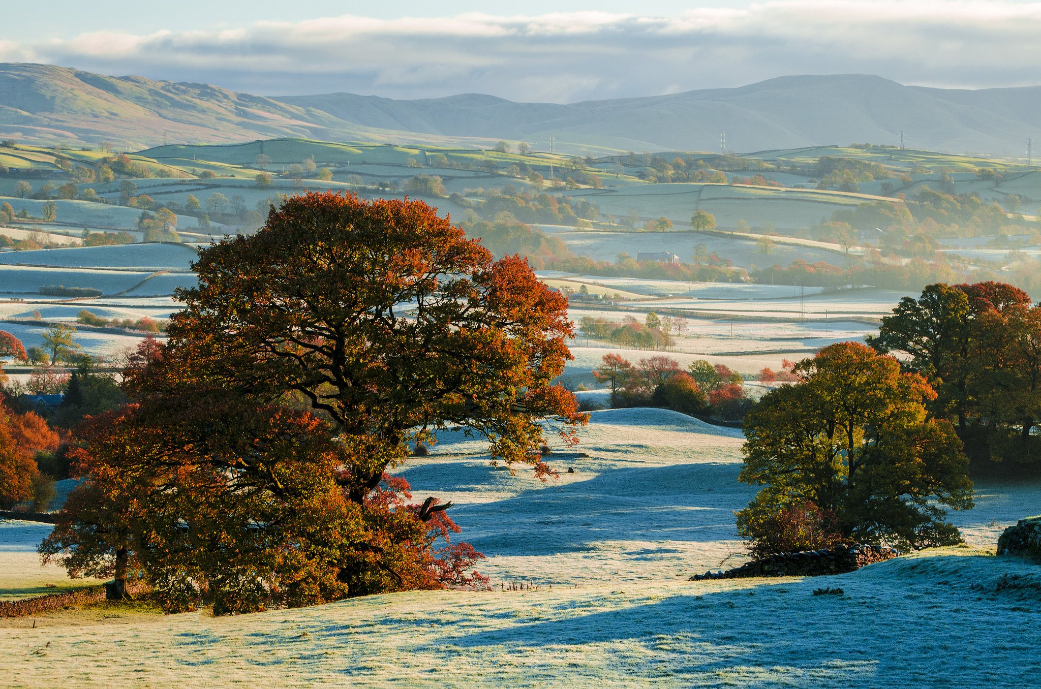 hills, Autumn, Frost, Trees, Fields Wallpapers HD / Desktop and Mobile ...