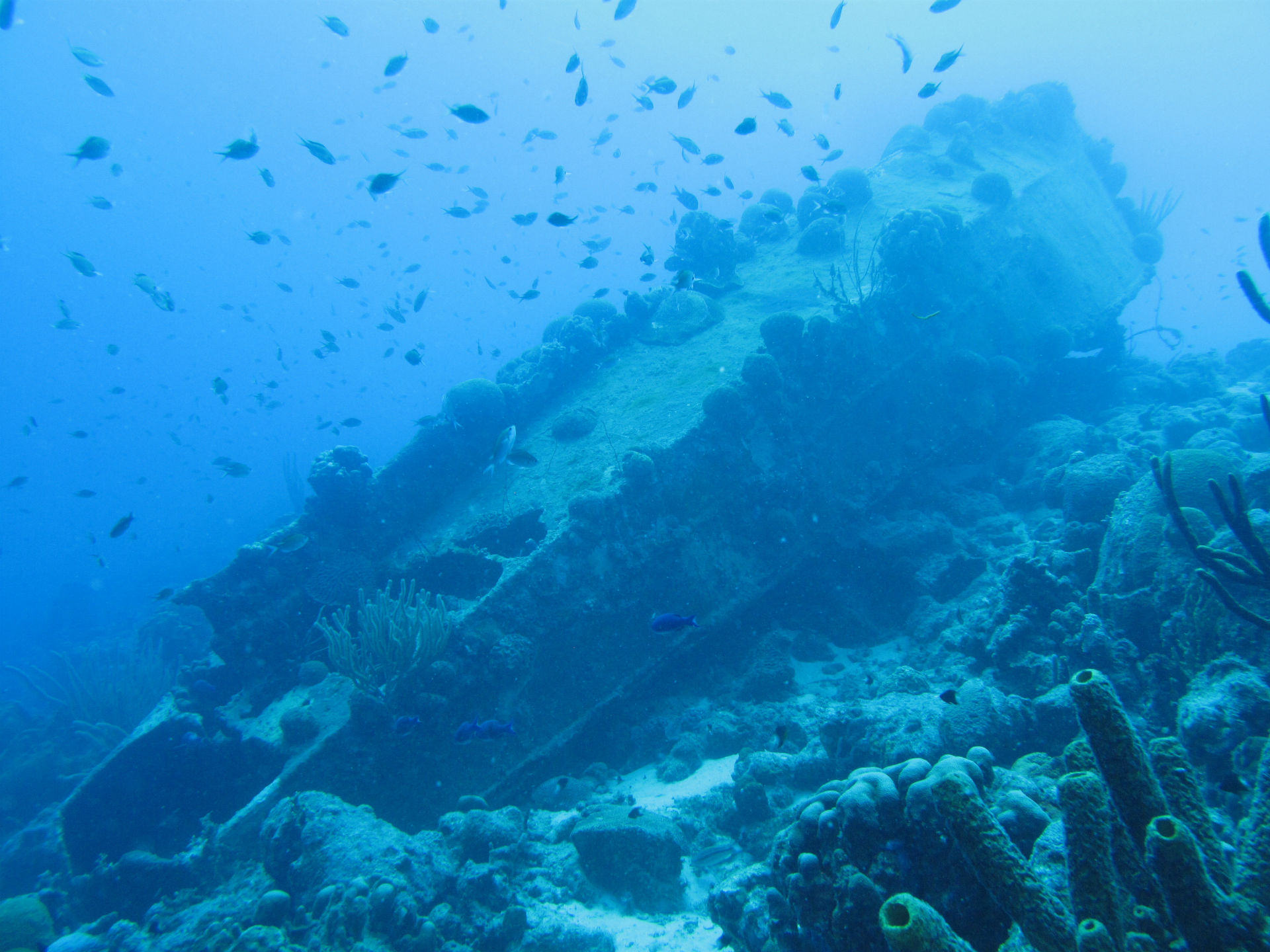shipwreck, Decay, Ruin, Ocean, Sea, Fishes, Undewater Wallpapers HD ...