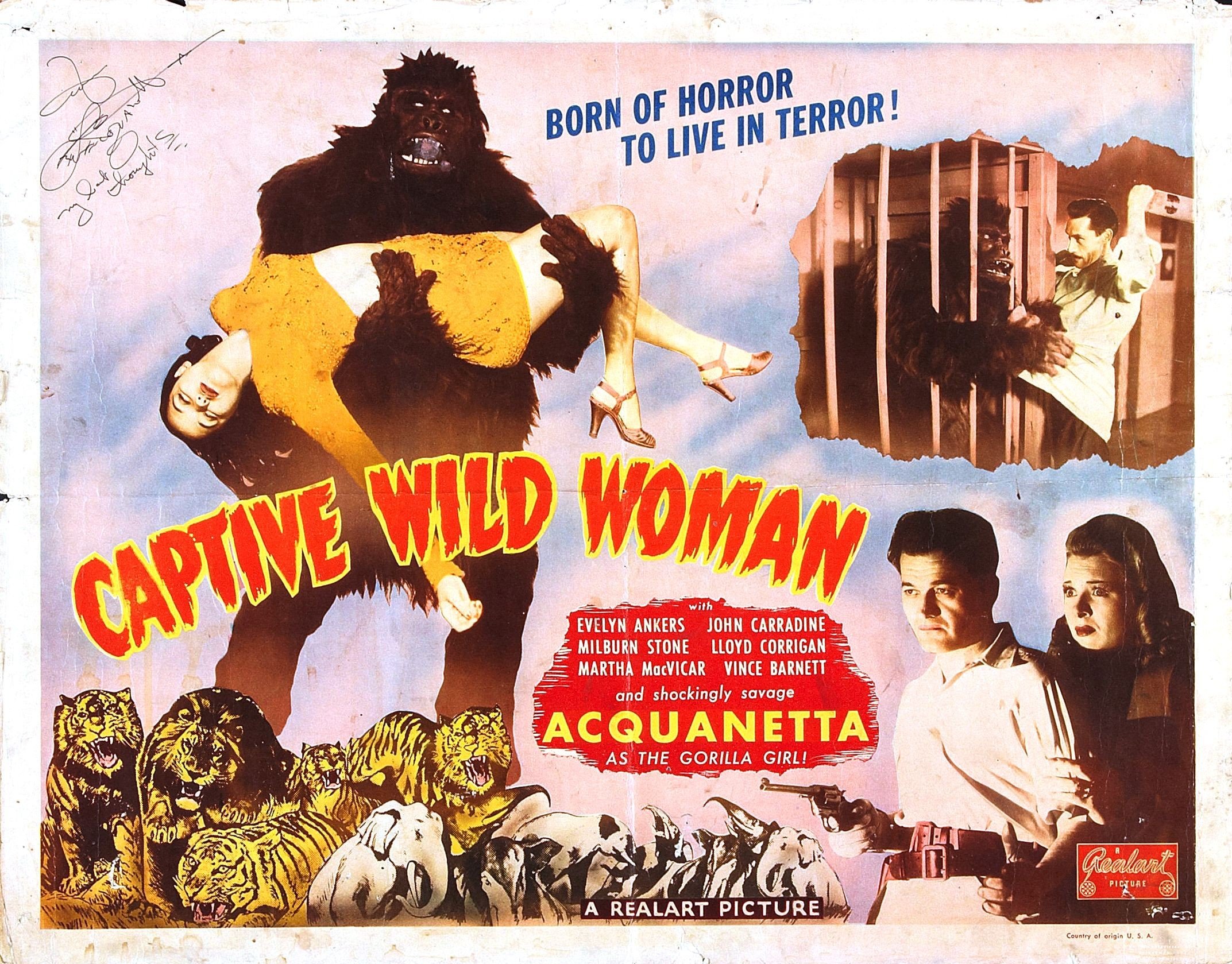 poster, Movie, Film, Movies, Posters, Retro, Vintage, Classic, Sign, 66 ...