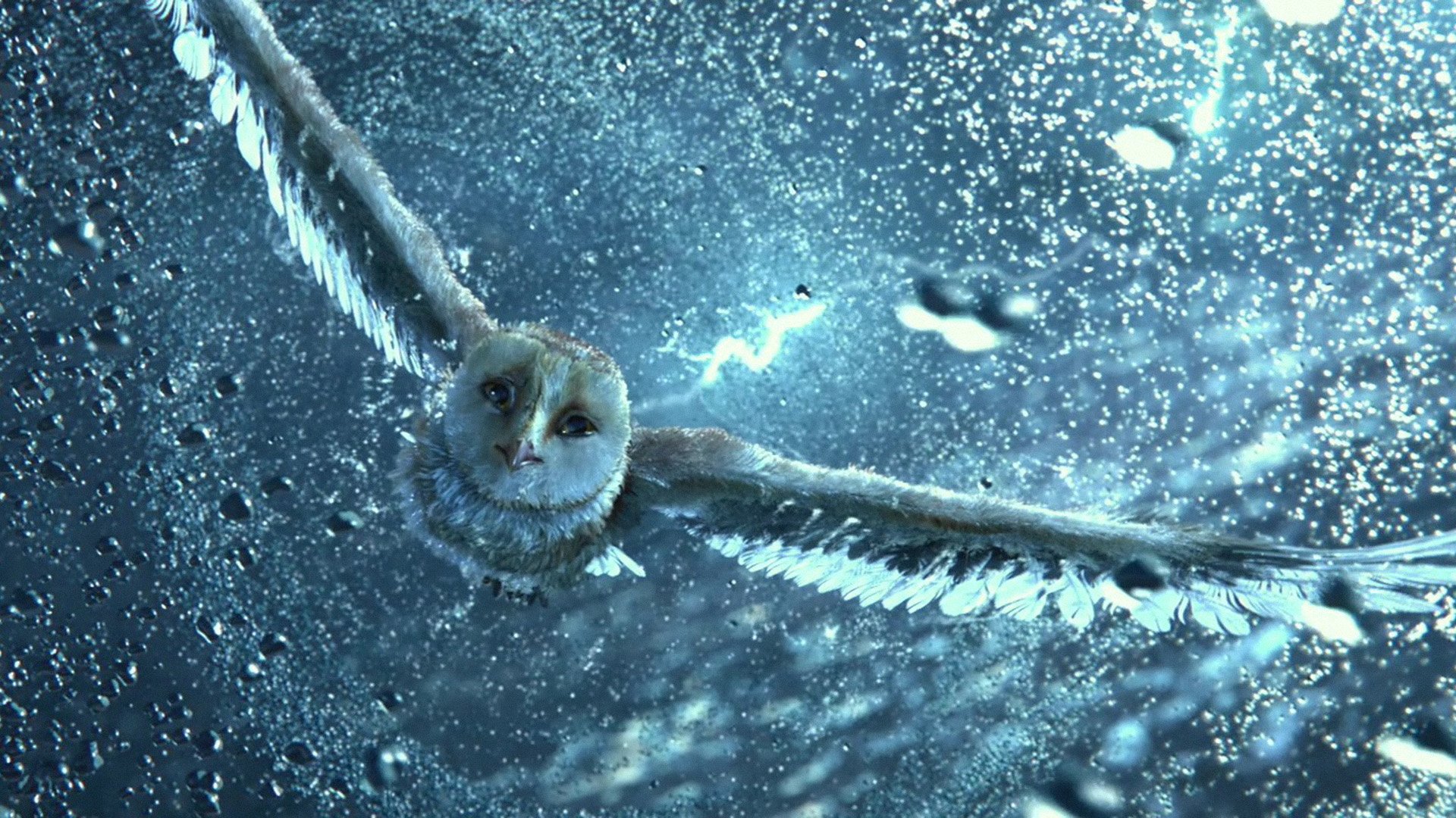 legends, Guardians, Owls, Gahoole, Animation, Fantasy, Adventure ...