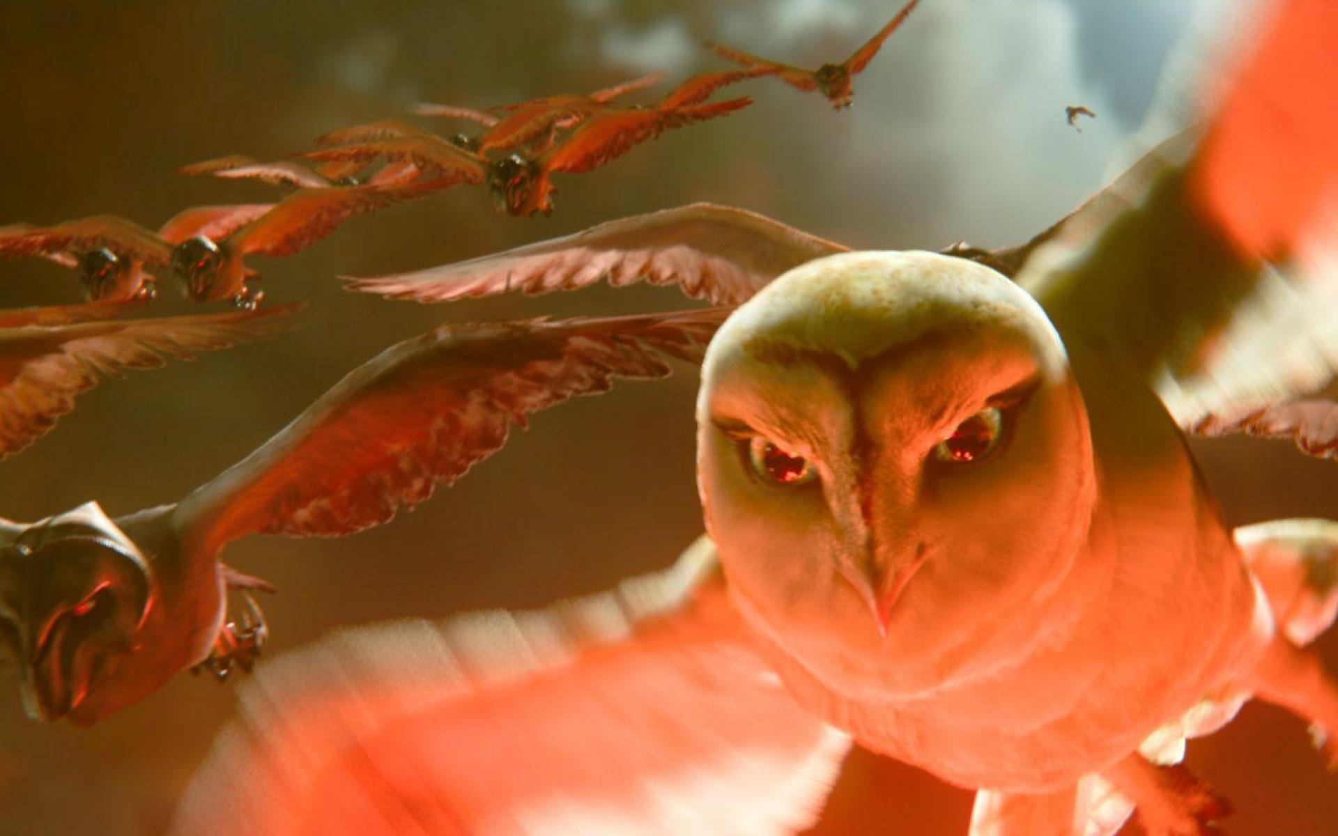 legend, Guardians, Owls, Gahoole, Animation, Fantasy, Adventure, Family ...