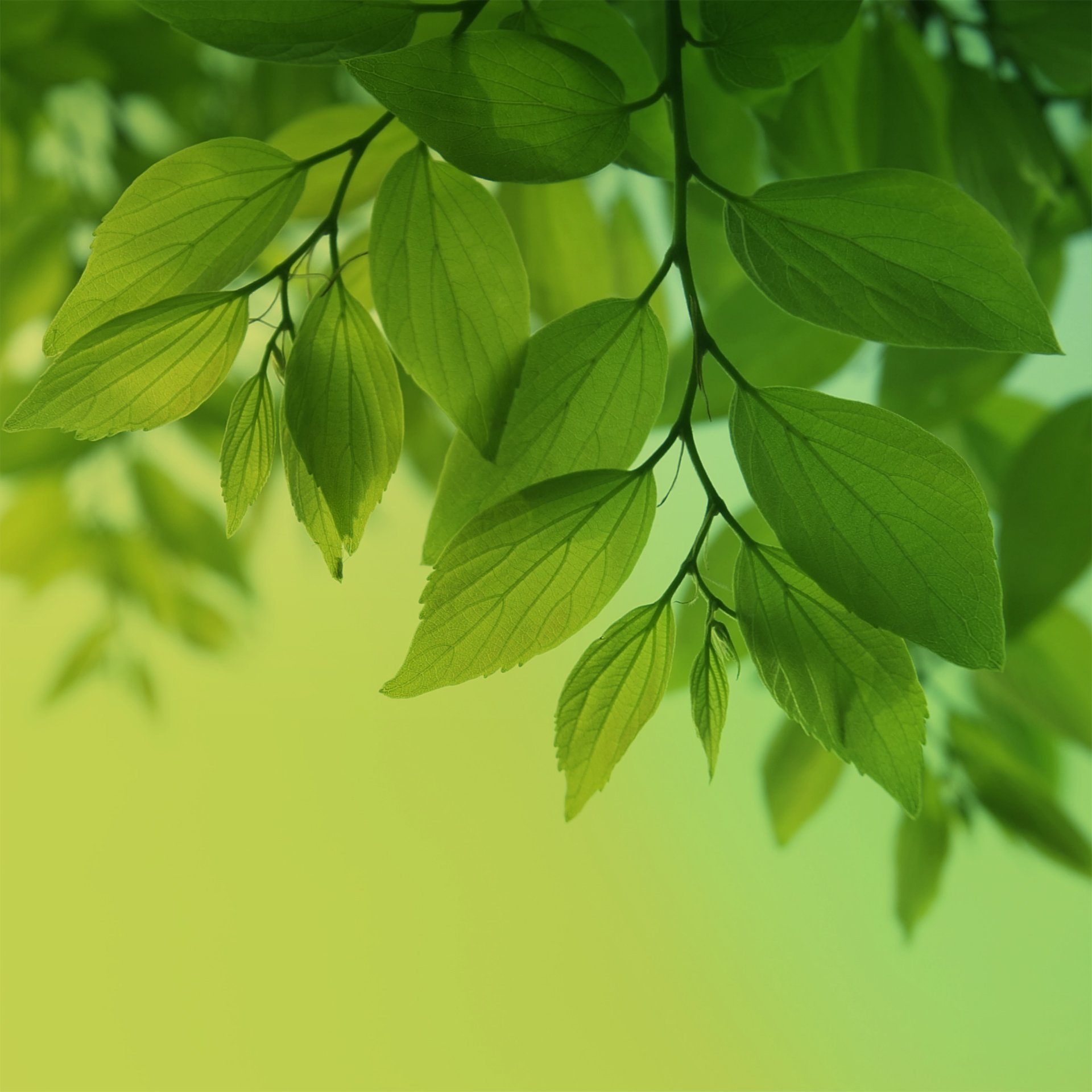 note Wallpapers HD / Desktop and Mobile Backgrounds