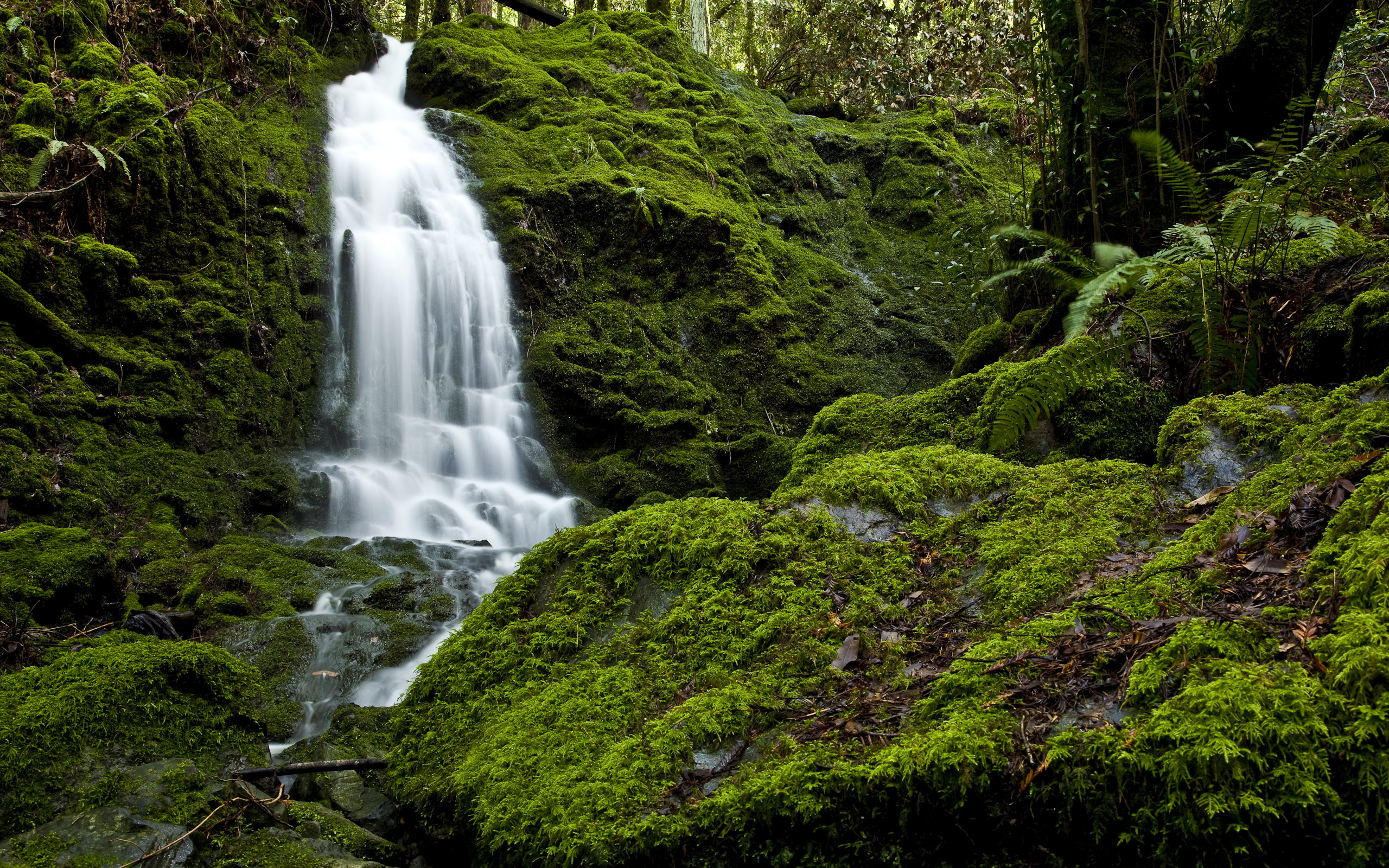 camp, Meeker, Waterfall Wallpapers HD / Desktop and Mobile Backgrounds