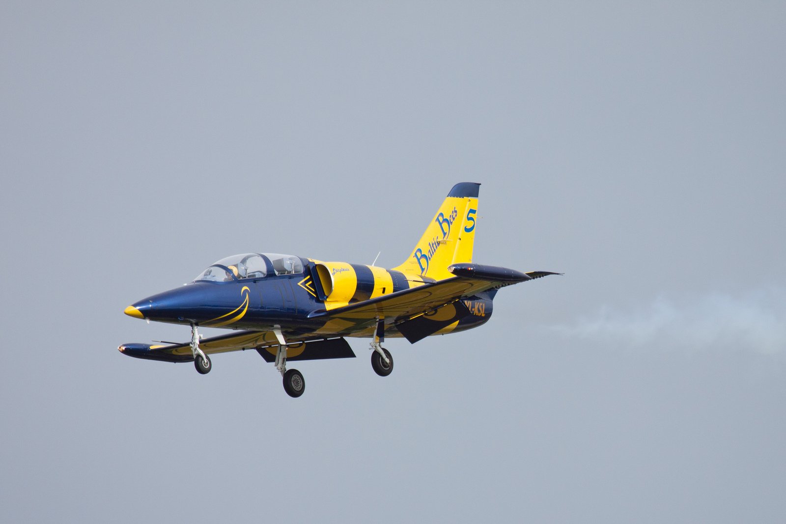 aero, L 39, Albatros, Baltic, Bees, Jet, Team, Acrobatic Wallpapers HD ...