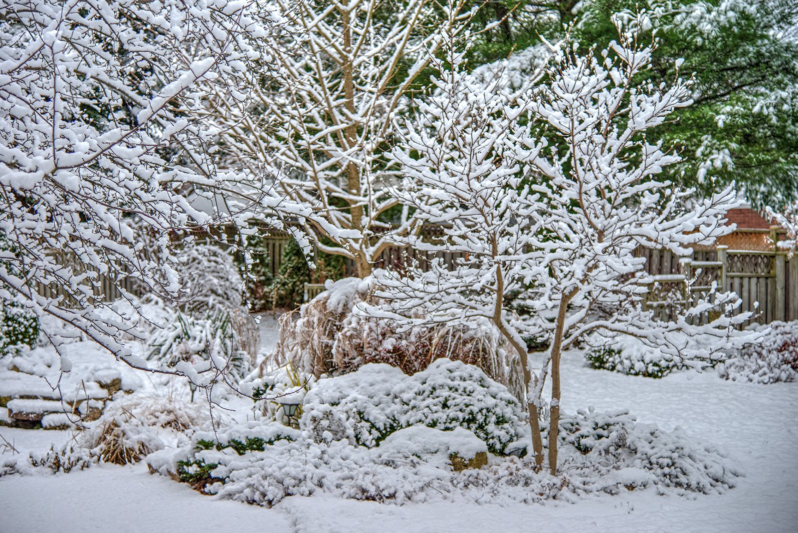 hiver, Neige, Montagne, Snow, Nature, Landscapes, Frozen, Winter ...
