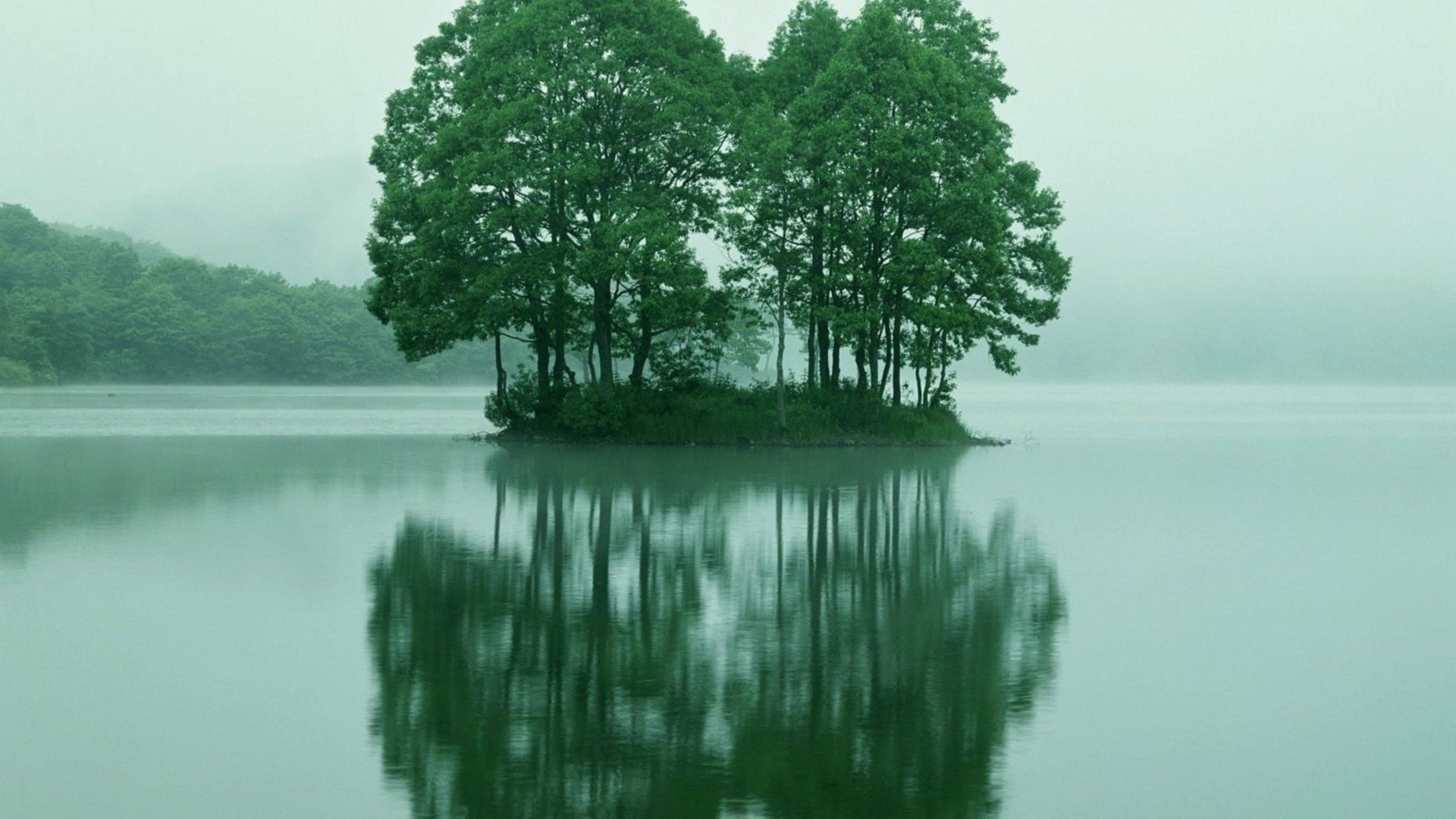 trees, Nature, Plant, Tree, Woods, Green, Yellow, Colors, Forest, Wood ...