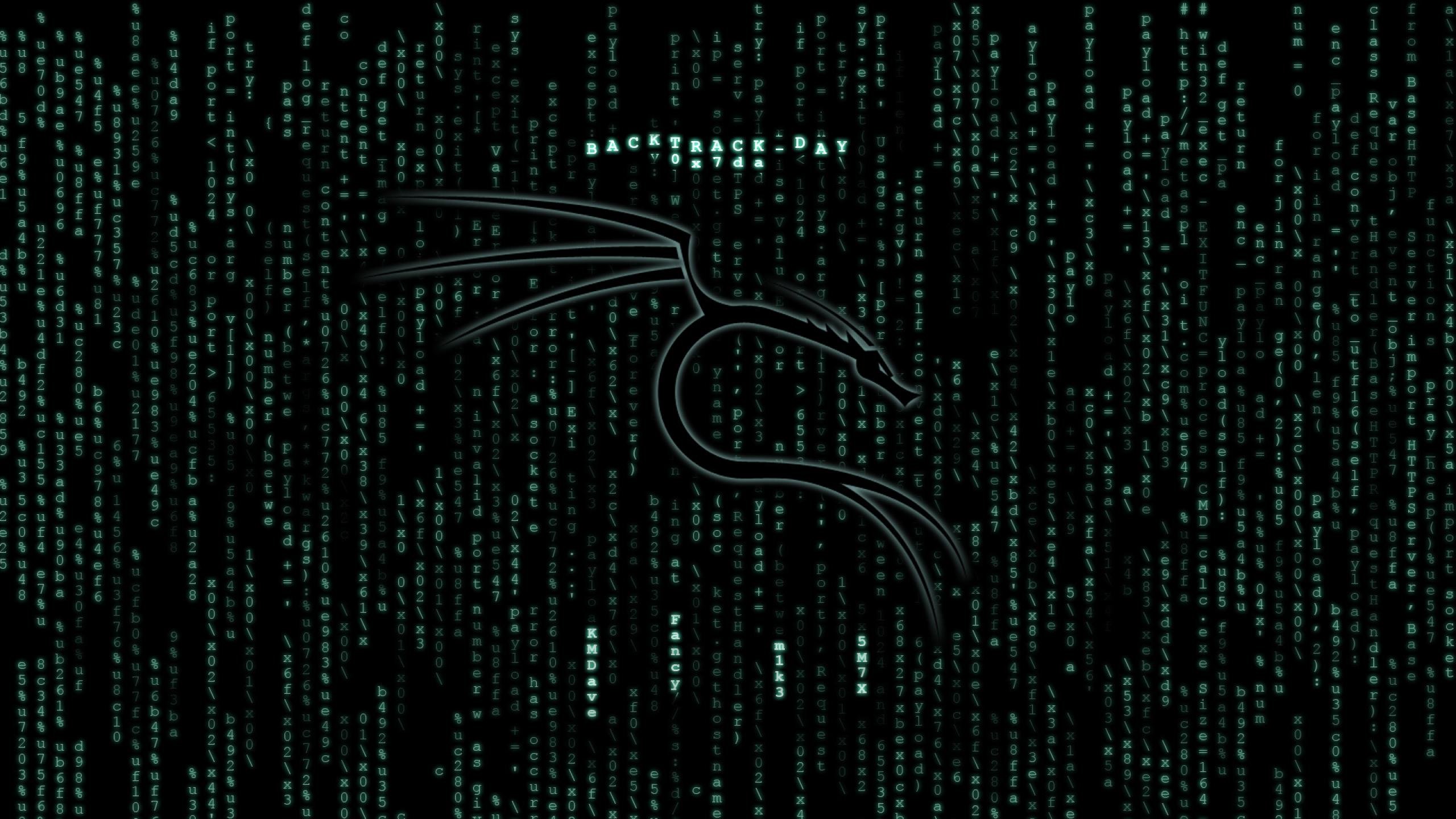 Computer Virus Anarchy Hacker Hacking Internet Sadic Wallpapers