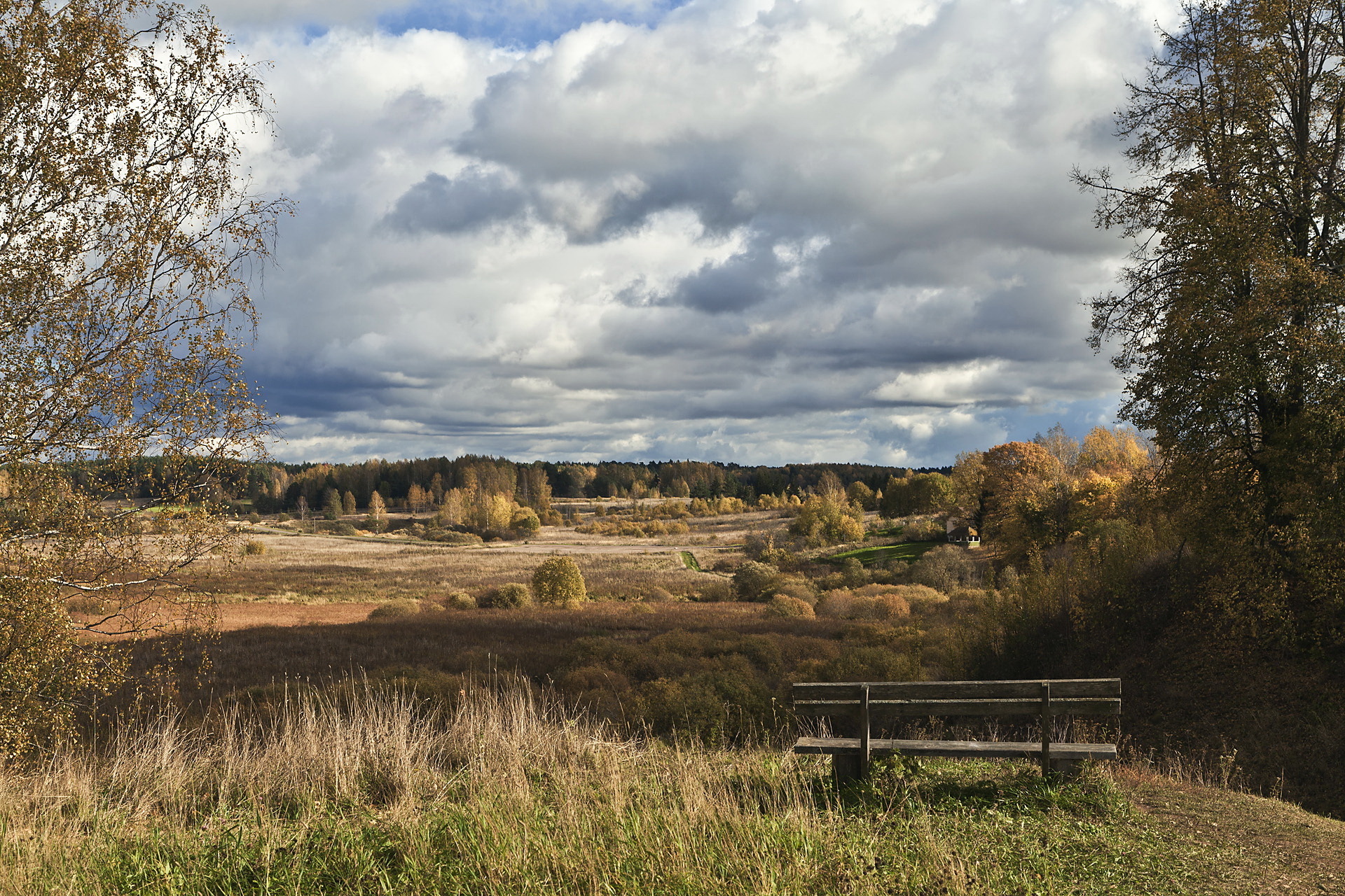 field, Bench, Landscape, Sky, Trees Wallpapers HD / Desktop and Mobile ...