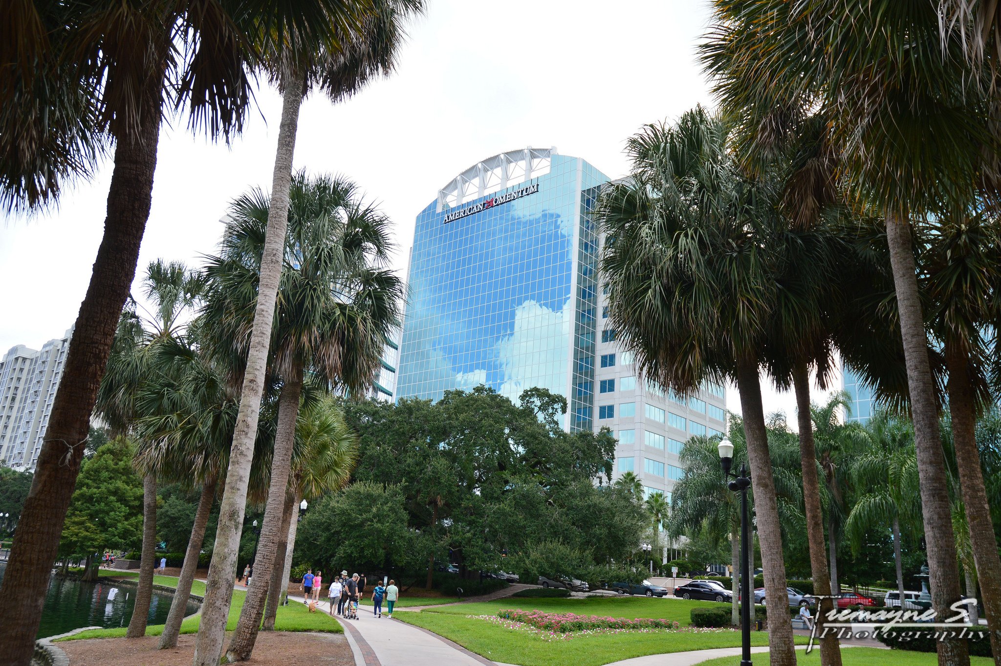 walt disney, World, Resort, Disney, Orlando, Floride, Florida, Usa ...