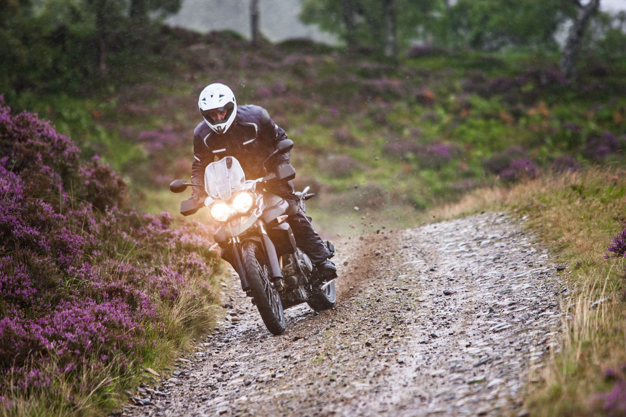 2015, Triumph, Tiger, 800, X c Wallpapers HD / Desktop and Mobile ...