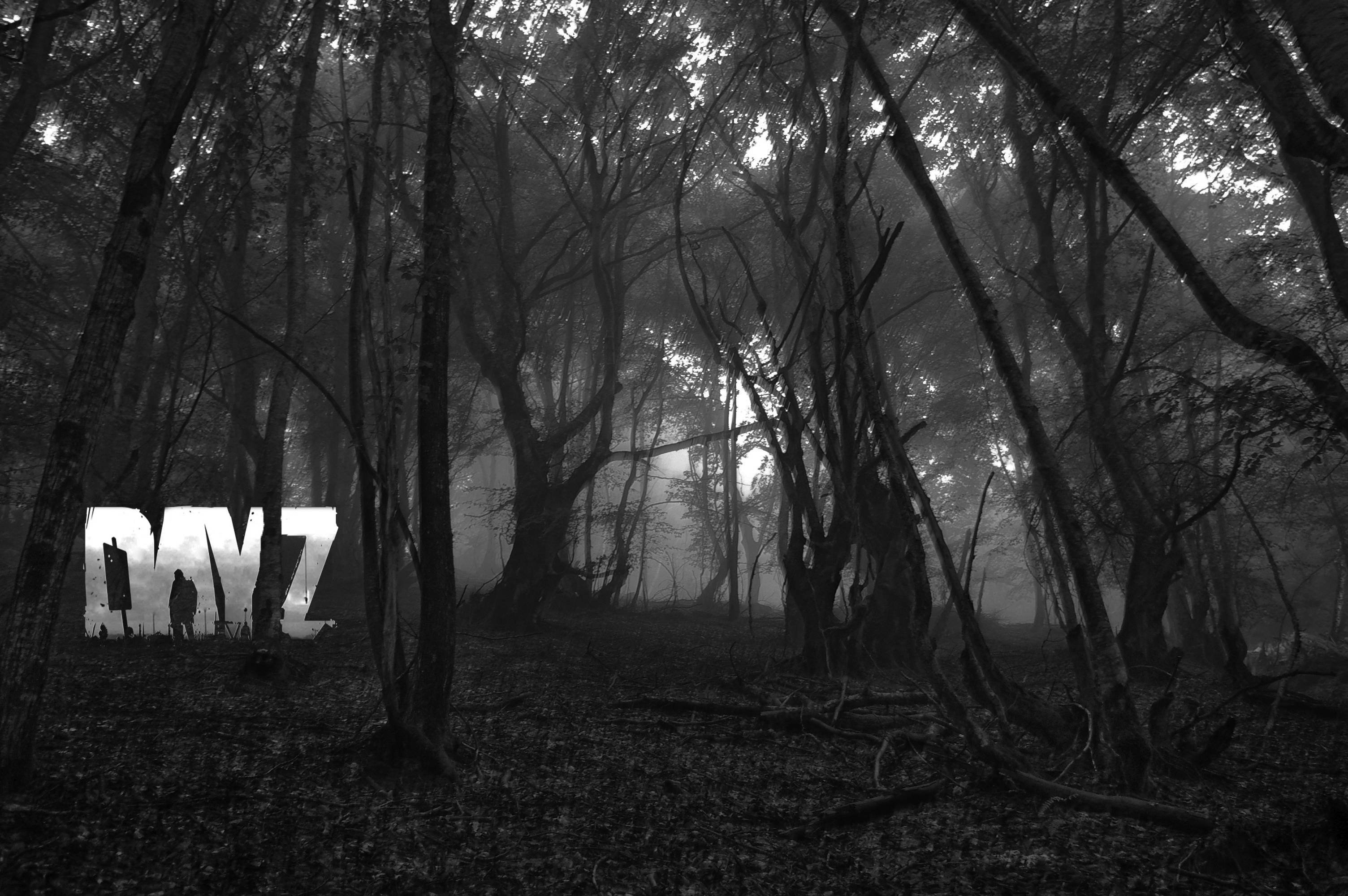 dayz, Survival, Horror, Zombie, Apocalyptic Wallpapers HD / Desktop and ...