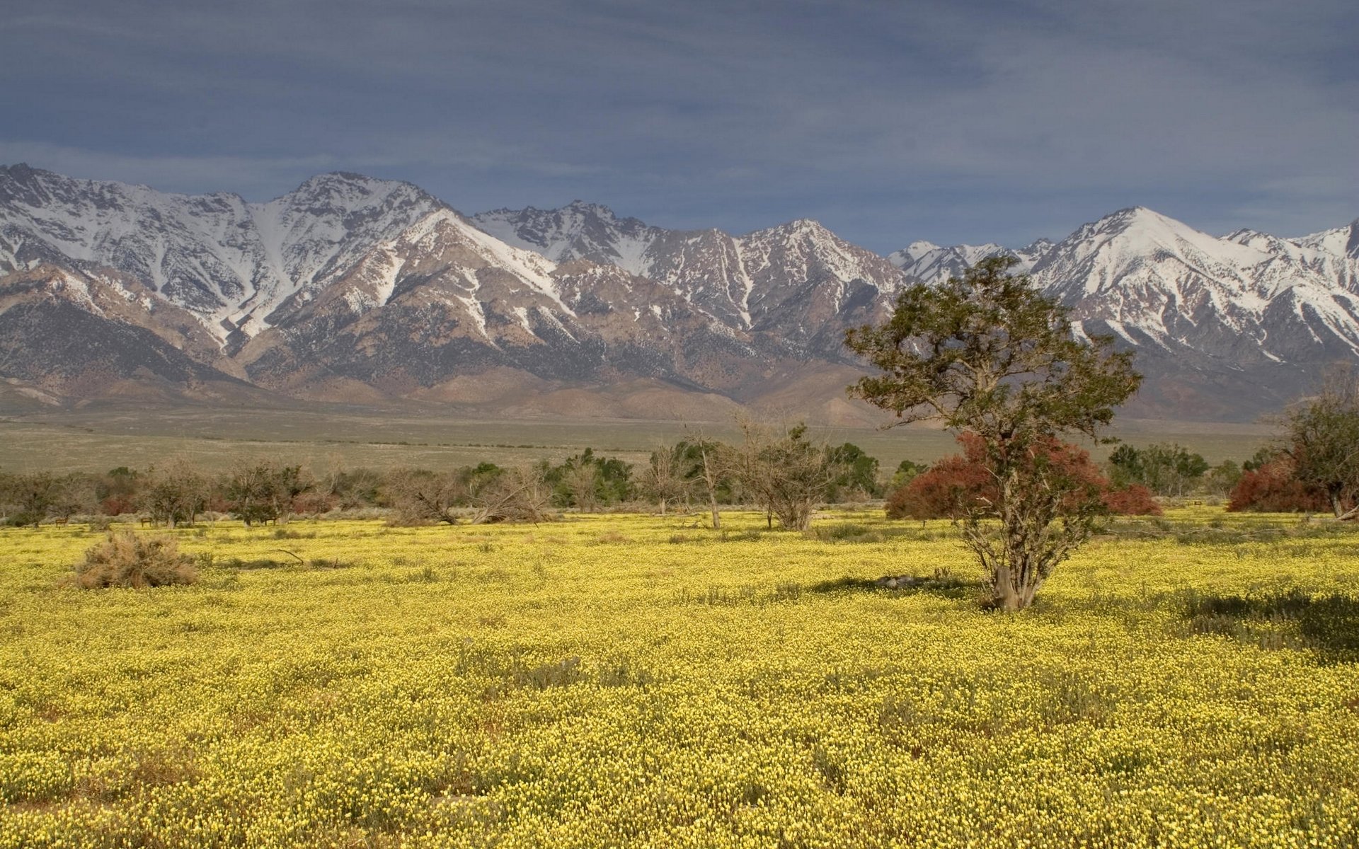 landscape, Nature, Beautiful, Wild, Look Wallpapers HD / Desktop and ...