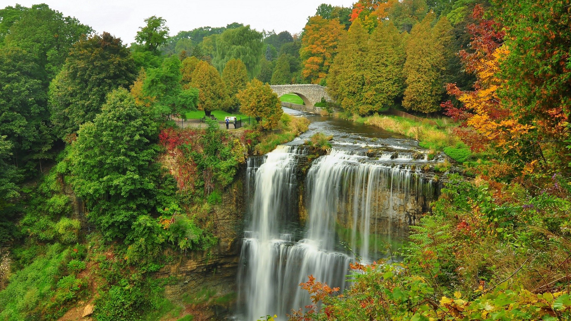 trees, Waterfalls Wallpapers HD / Desktop and Mobile Backgrounds