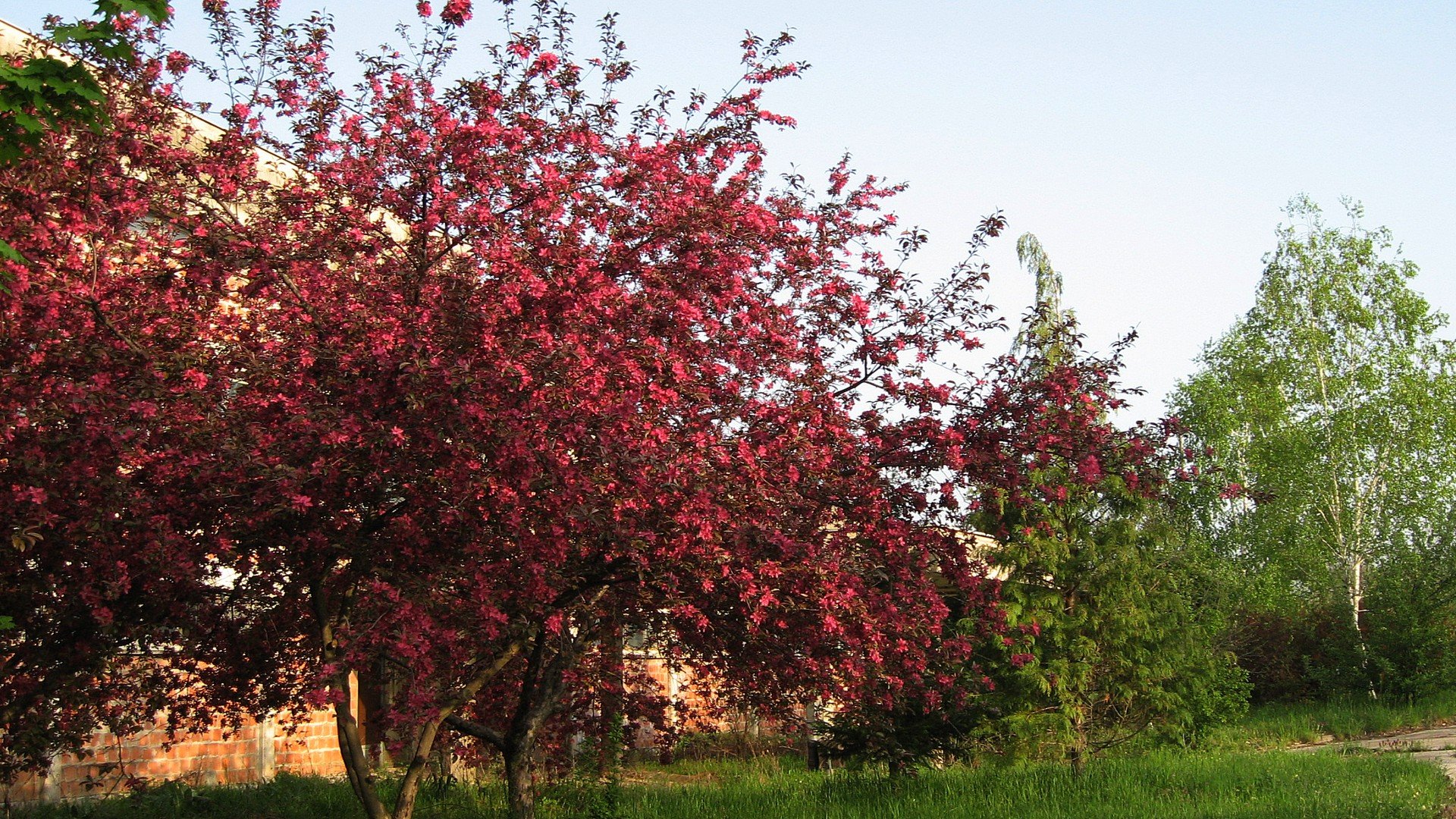 557823 Wallpapers HD / Desktop and Mobile Backgrounds