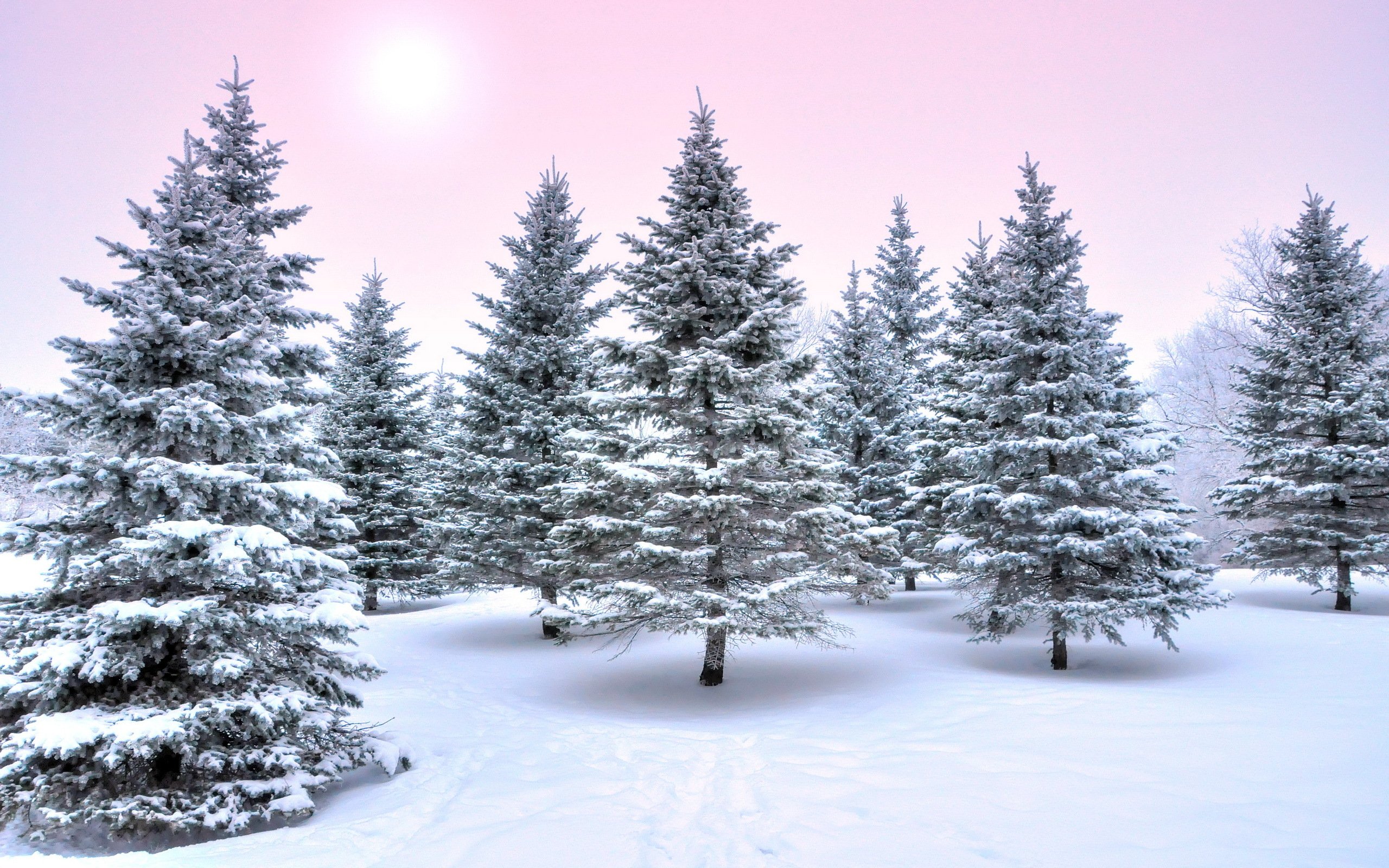 winter, Nature, Snow, Beautiful, Lovely, Landscape, Landscapes ...