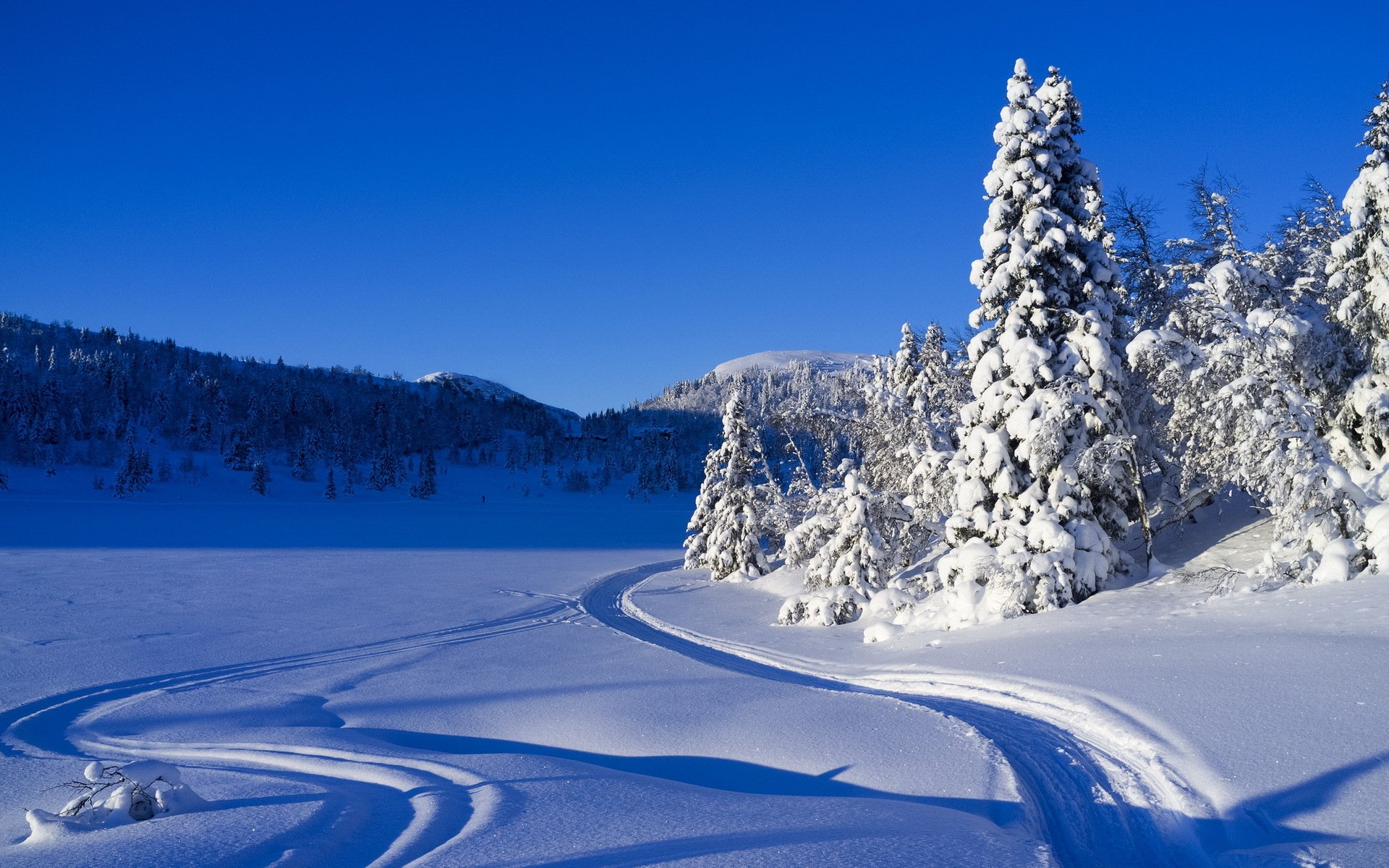 winter, Nature, Snow, Beautiful, Lovely, Landscape, Landscapes ...