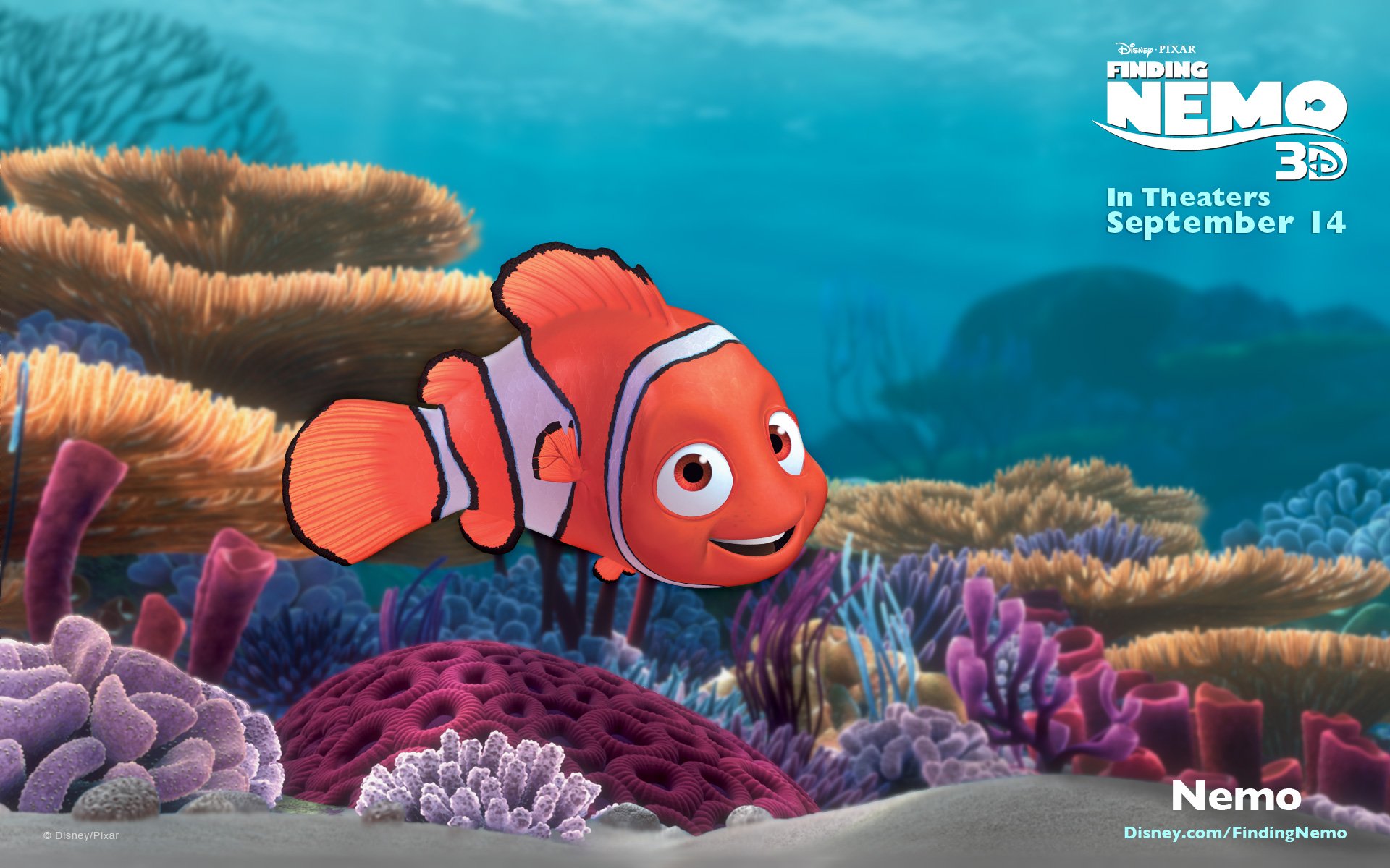 finding, Nemo, Animation, Underwater, Sea, Ocean, Tropical, Fish ...
