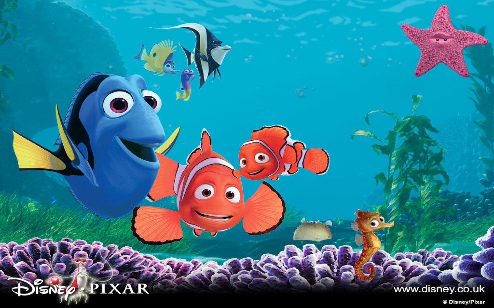 finding, Nemo, Animation, Underwater, Sea, Ocean, Tropical, Fish ...