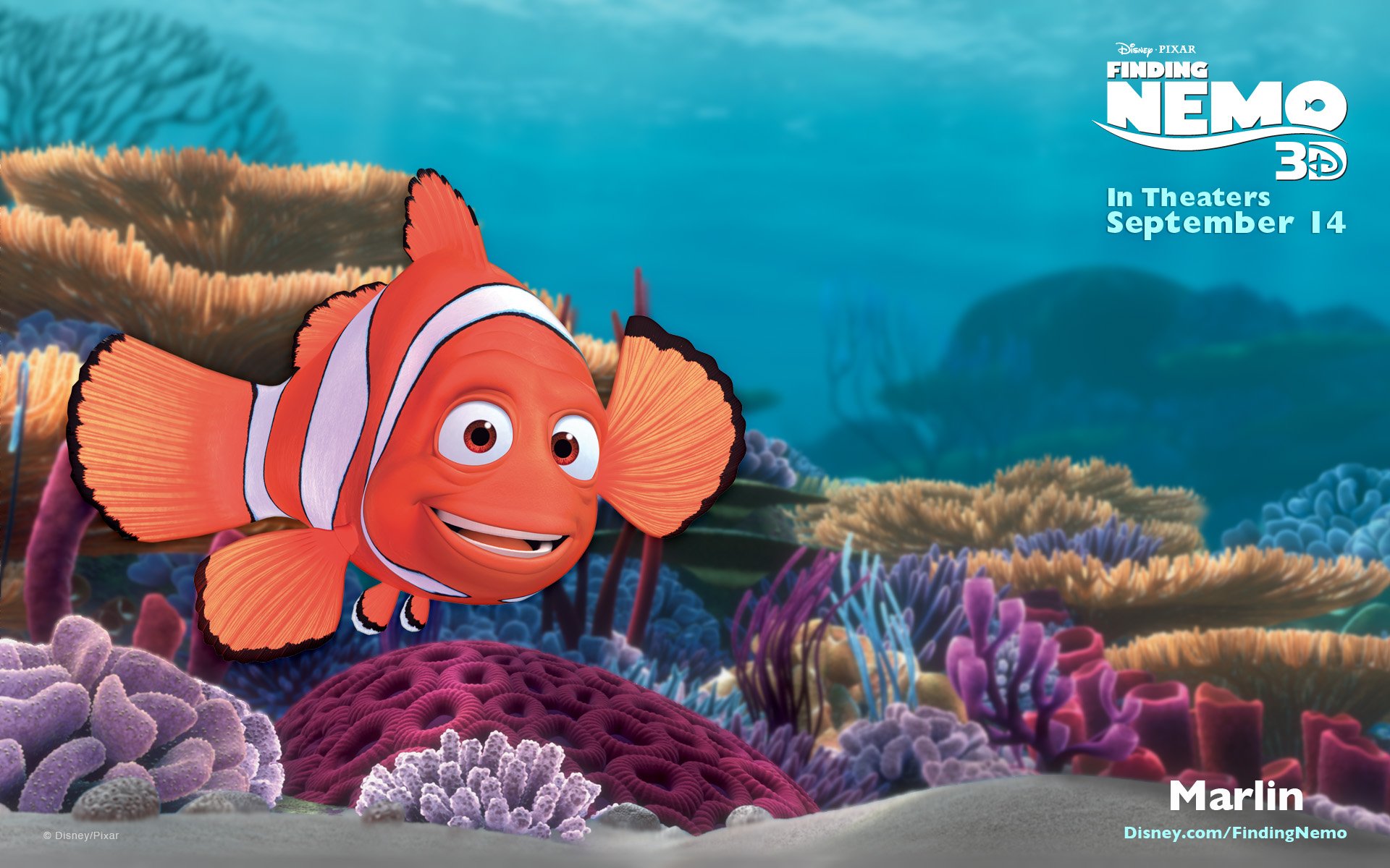 finding, Nemo, Animation, Underwater, Sea, Ocean, Tropical, Fish ...