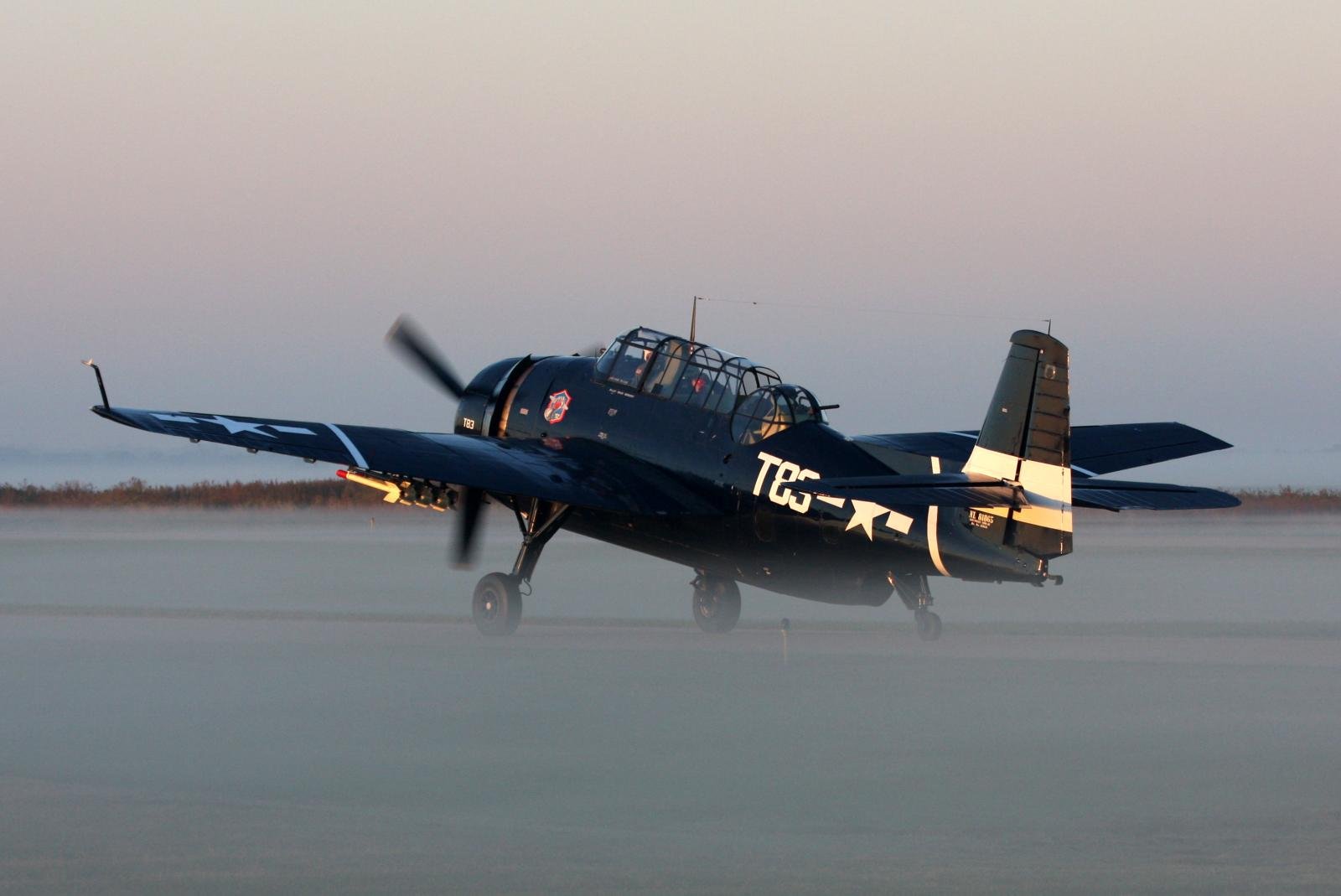 aeroplane, American, Fighter, Flight, Flying, War, Grumman, Aircraft ...