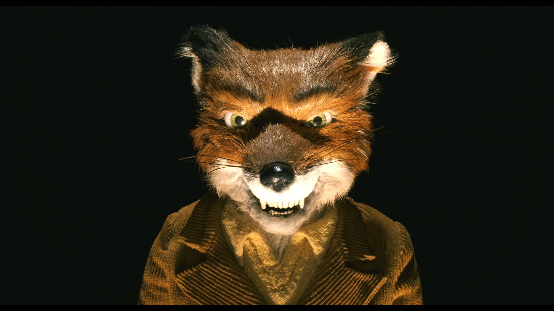 fantastic, Mr, Fox, Animation, Comedy, Family, Adventure, 1mrfox, Foxes ...