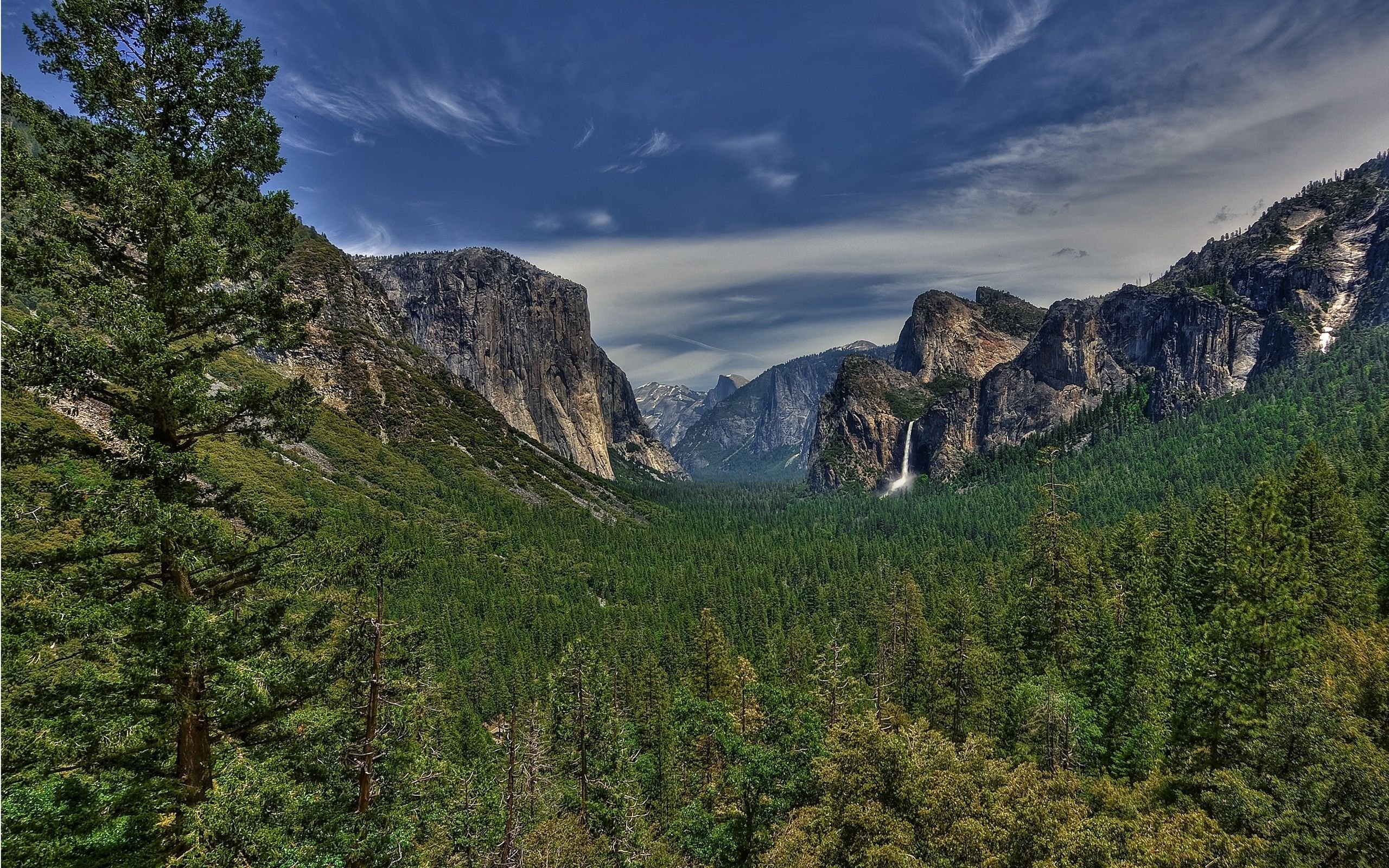 landscape, Nature, Beautiful, Forest, Area, Wild, Sky, Landscapes ...