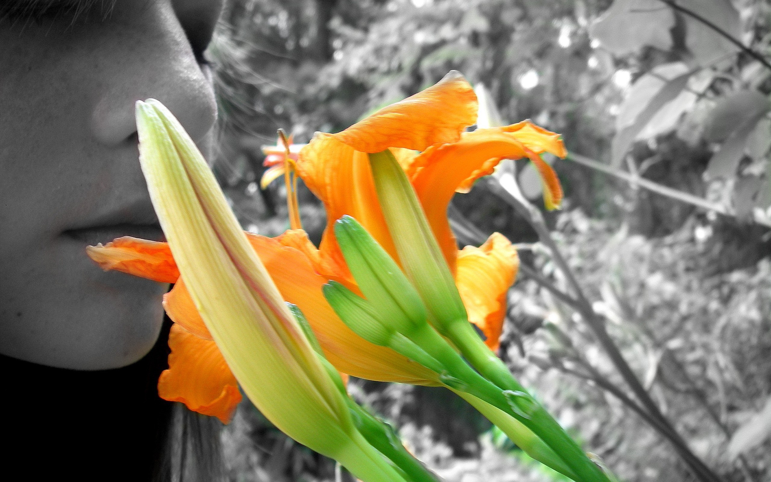 women, Flowers Wallpapers HD / Desktop and Mobile Backgrounds