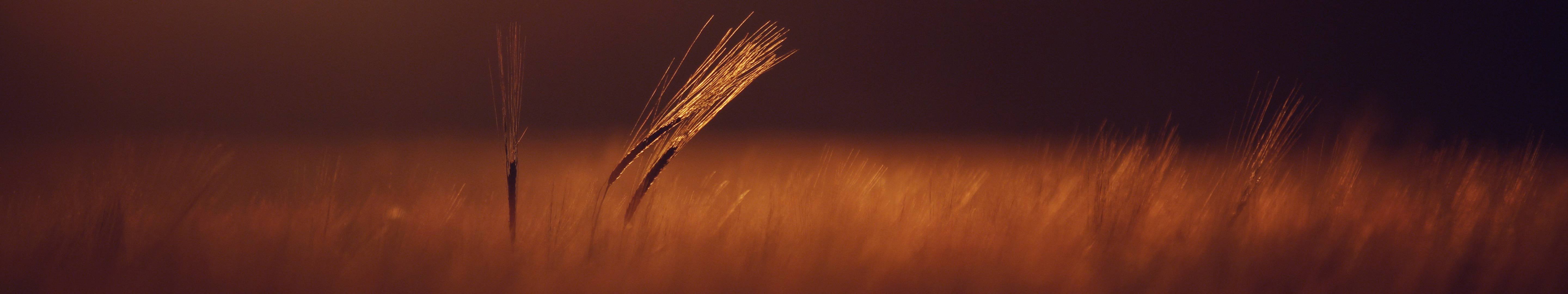 wallpaper, Triple, Multi, Multiple, Monitor, Screen Wallpapers HD ...