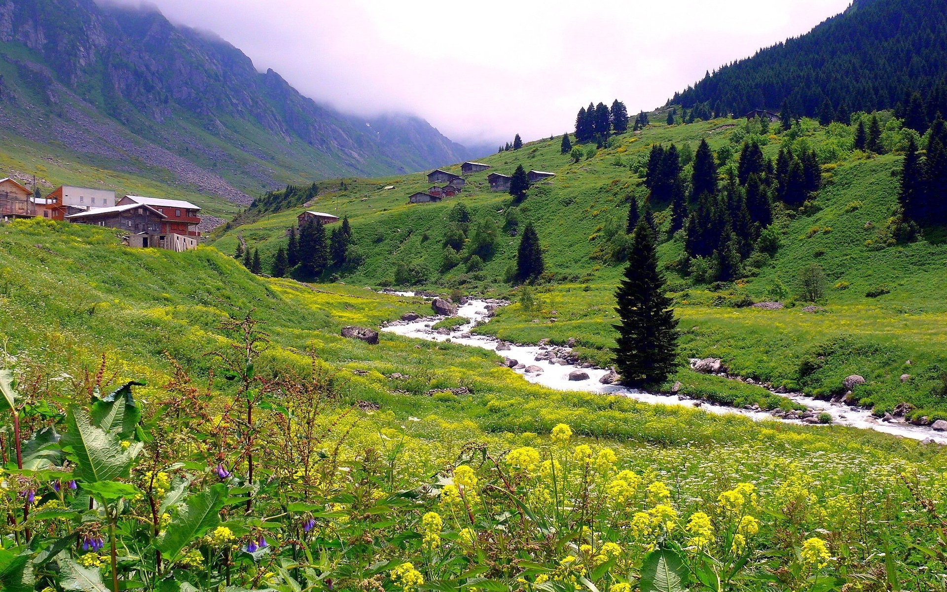 rize, Rivers, Nature, Ayder, Eider, Nature, Rivers, Turkey, Landscapes ...