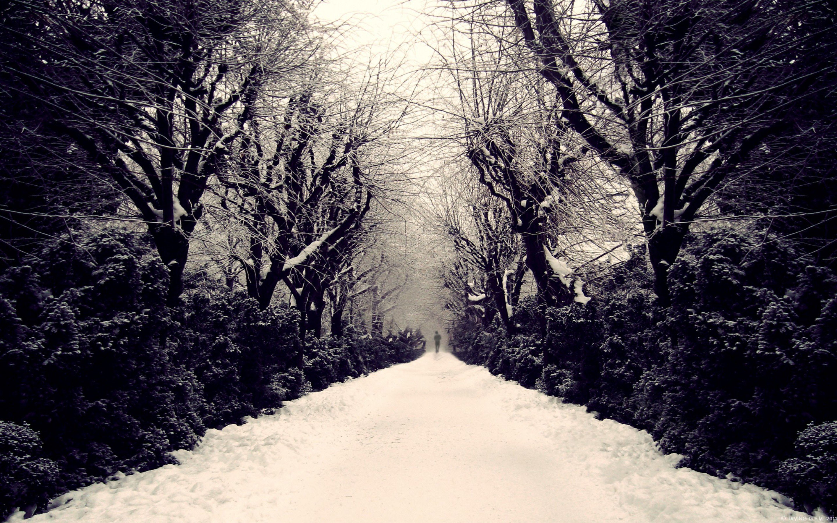 lonely, Mood, Sad, Alone, Sadness, Emotion, People, Loneliness ...