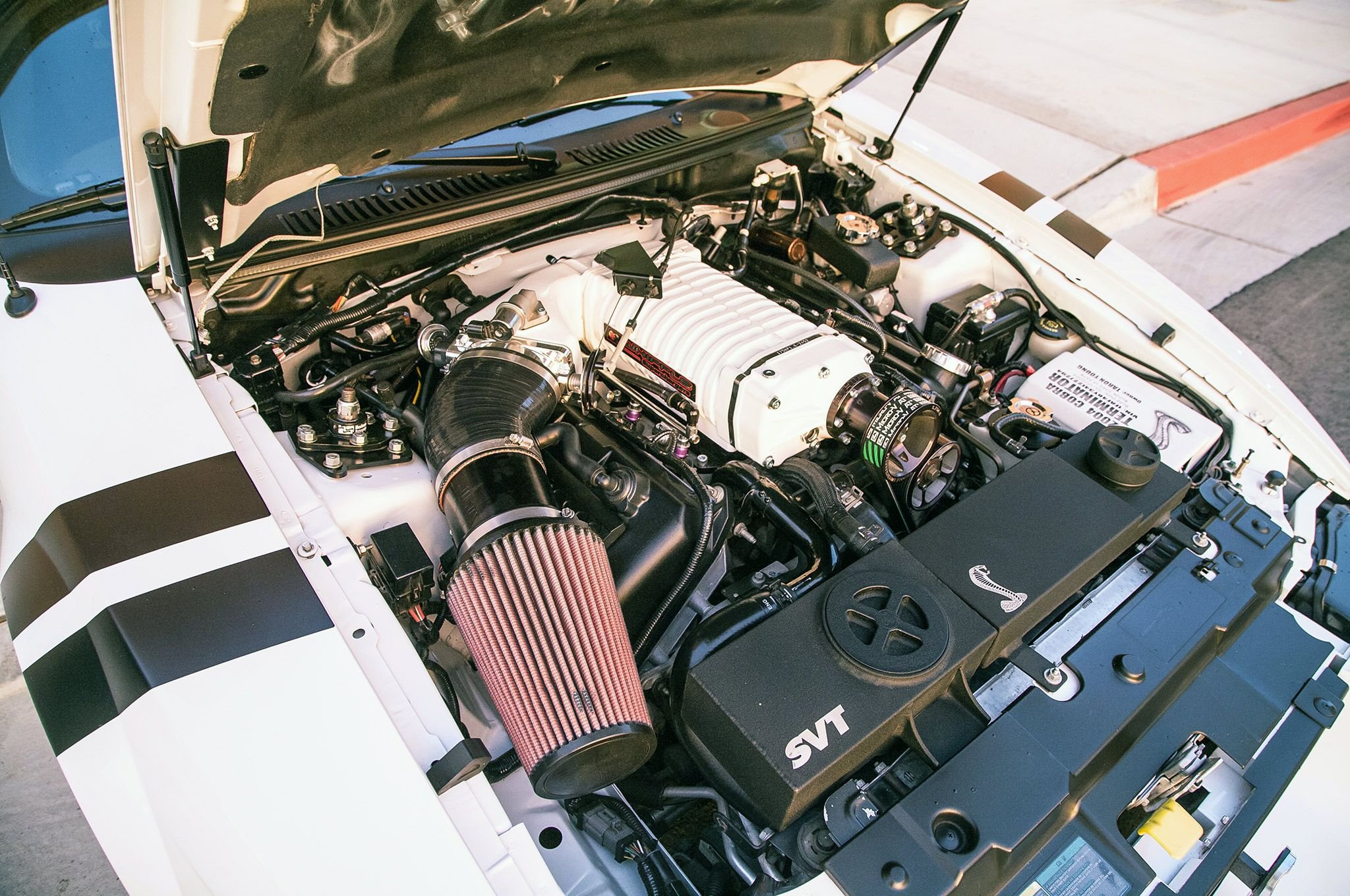 white, 2004, Terminator, Mustang, Cobra, Cars Wallpapers HD / Desktop ...