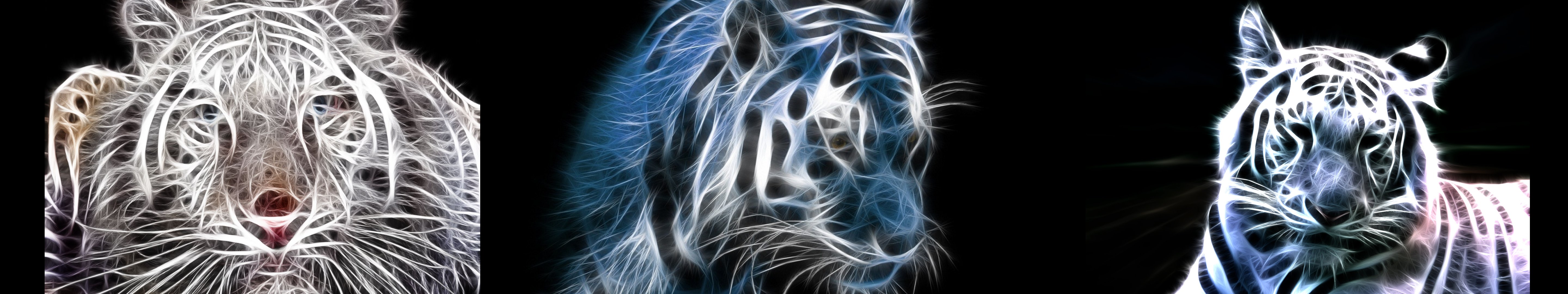 wallpaper, Triple, Multi, Multiple, Screen, Monitor, Animal, Light ...