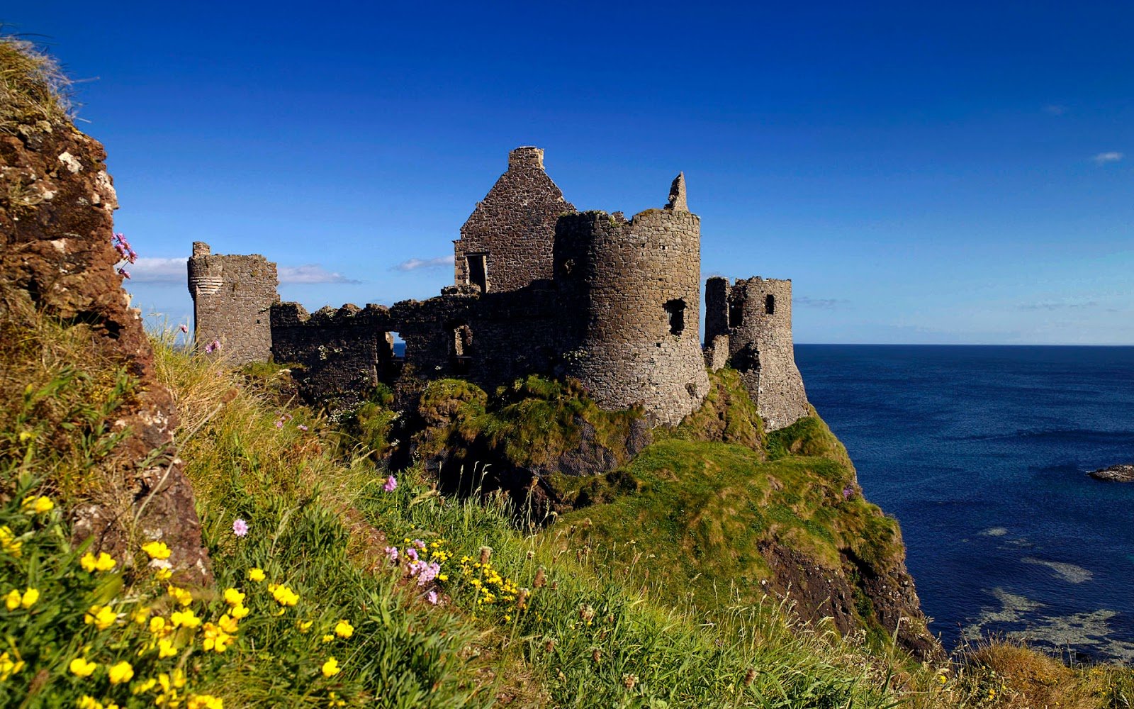 the, Castle, Sea, Flower Wallpapers HD / Desktop and Mobile Backgrounds