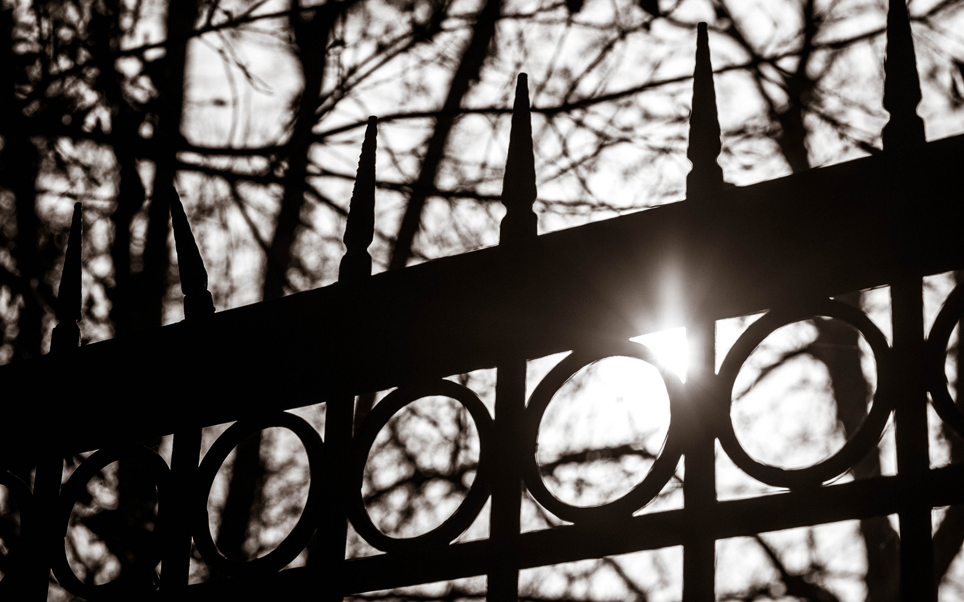 sunlight, Fence, Bw Wallpapers HD / Desktop and Mobile Backgrounds