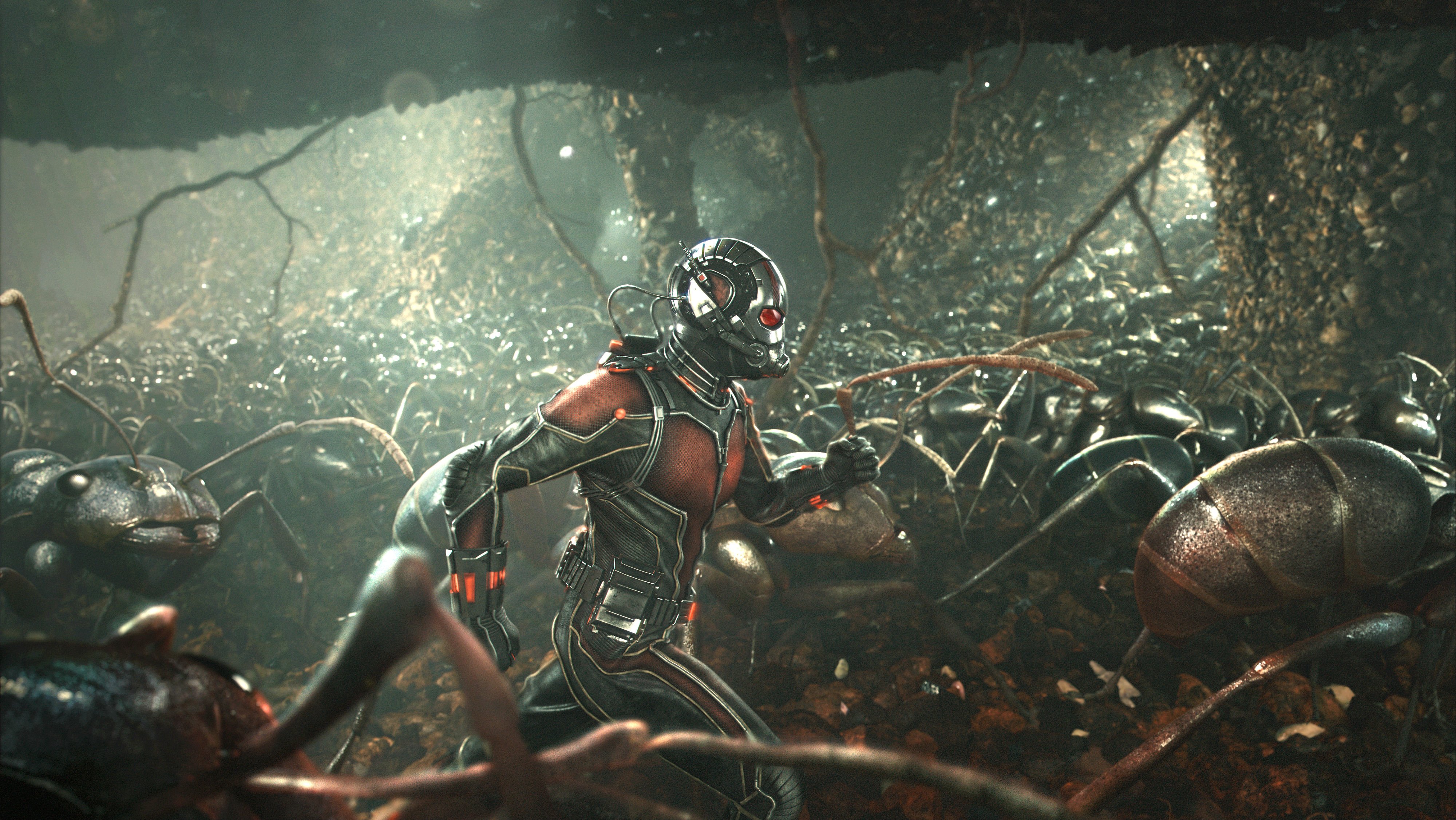 ant man, Superhero, Action, Marvel, Comics, Disney, Hero, 1antman ...