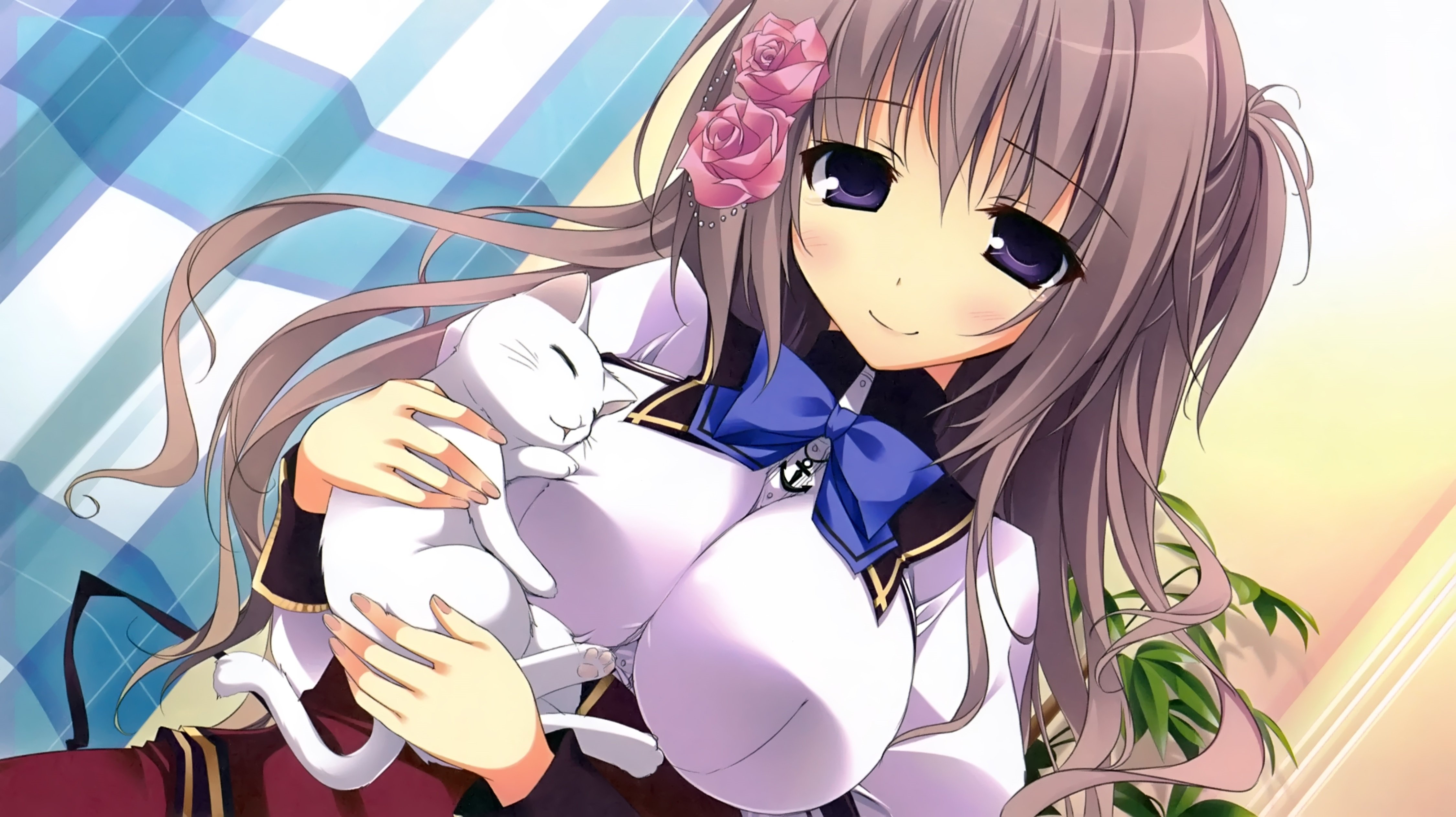 animal, Cat, Karory, Scan, Seifuku, Yume, To, Iro, De, Dekiteiru Wallpapers HD / Desktop and ...