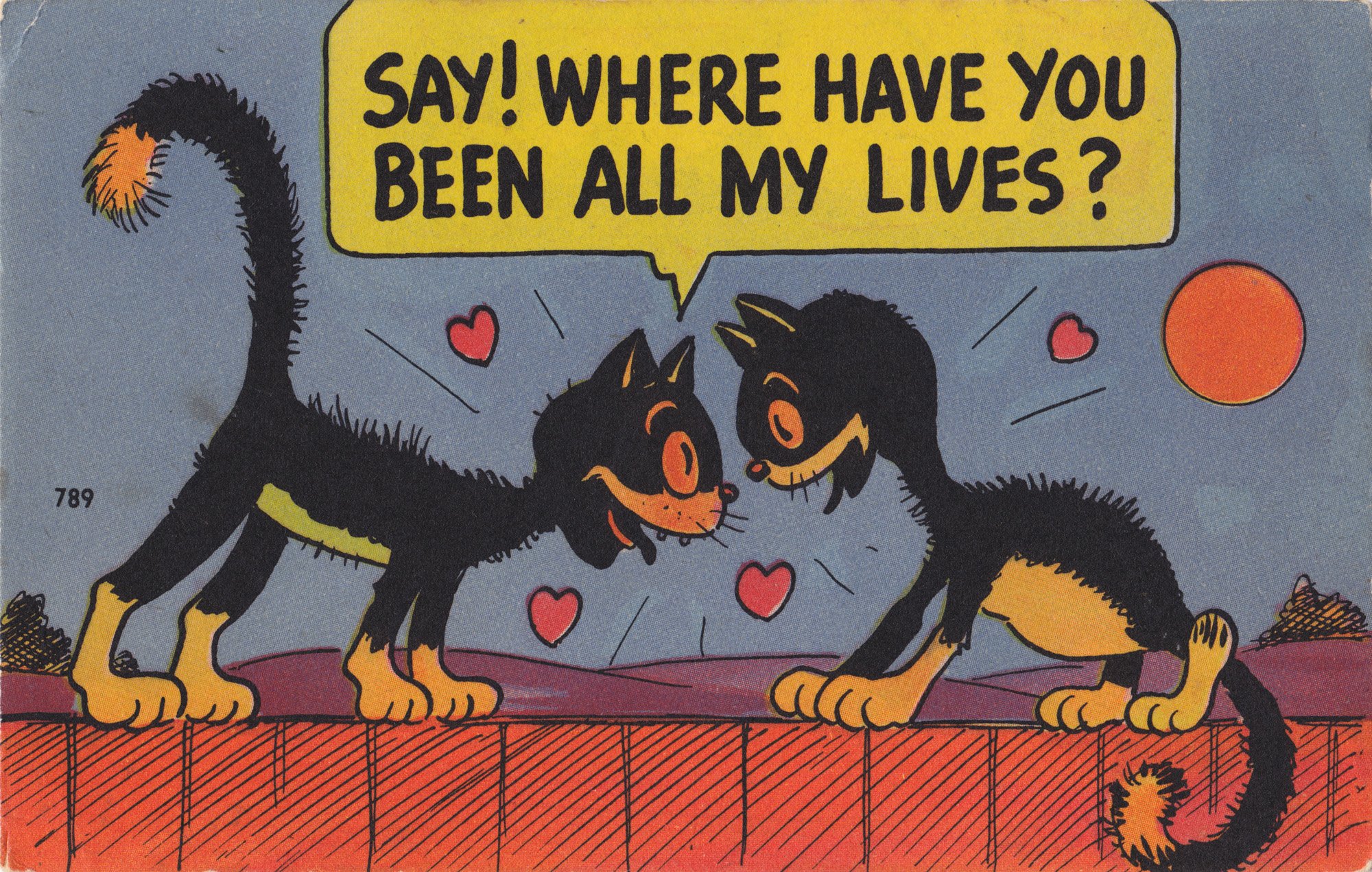 postcard, Paper, Poster, Advertising, Vintage, Retro, Antique, Cat ...