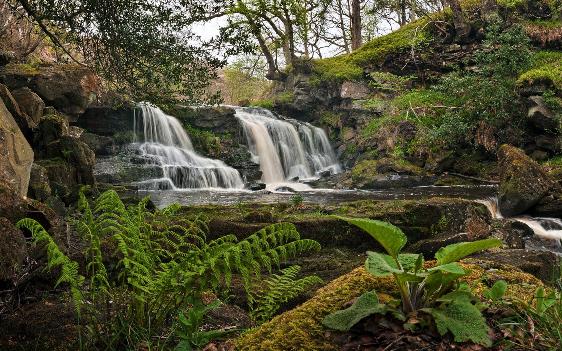 waterfall, Plants, Rocks, Landscape Wallpapers HD / Desktop and Mobile ...