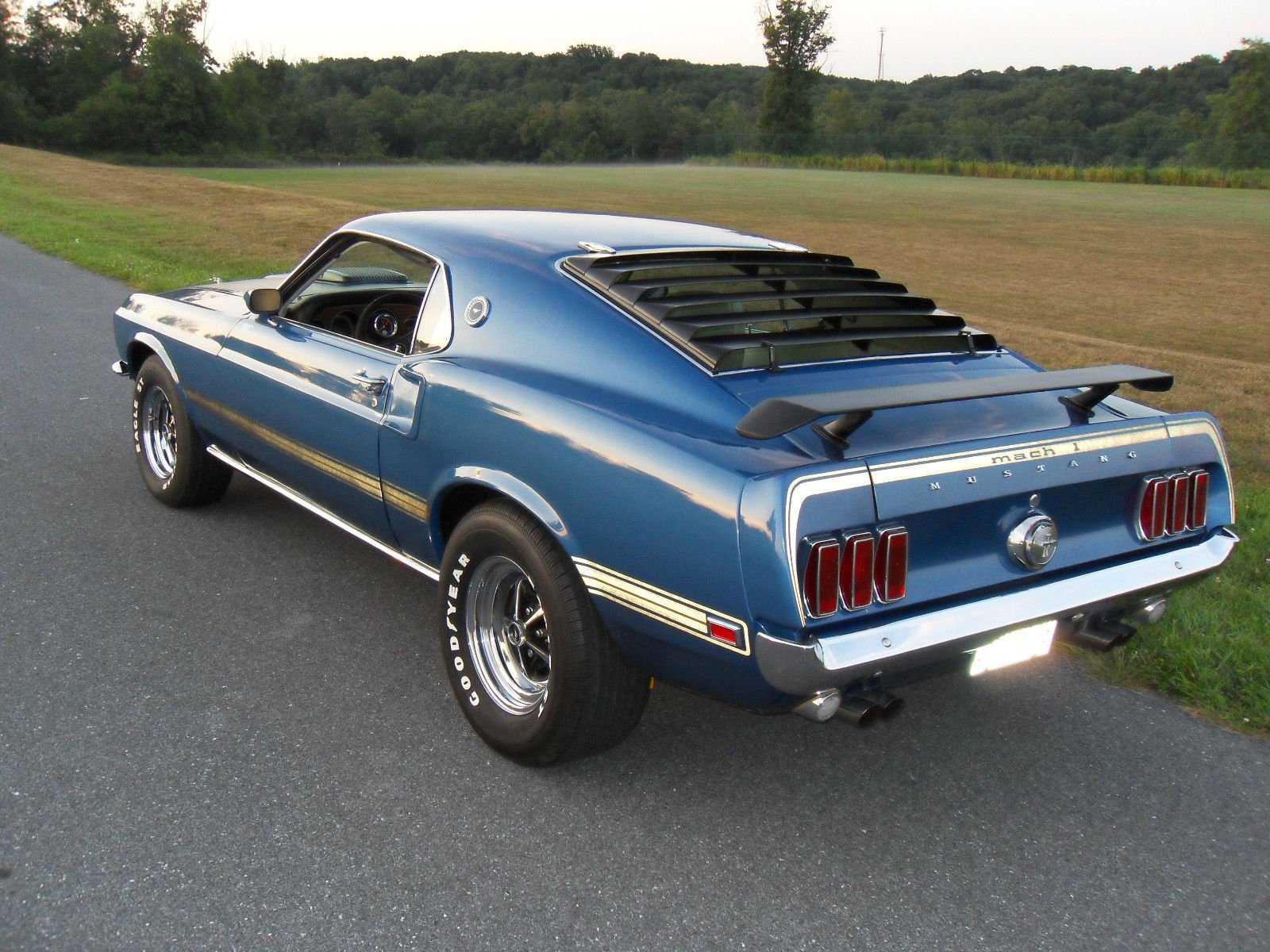 ford, Mustang, Muscle Wallpapers HD / Desktop and Mobile Backgrounds