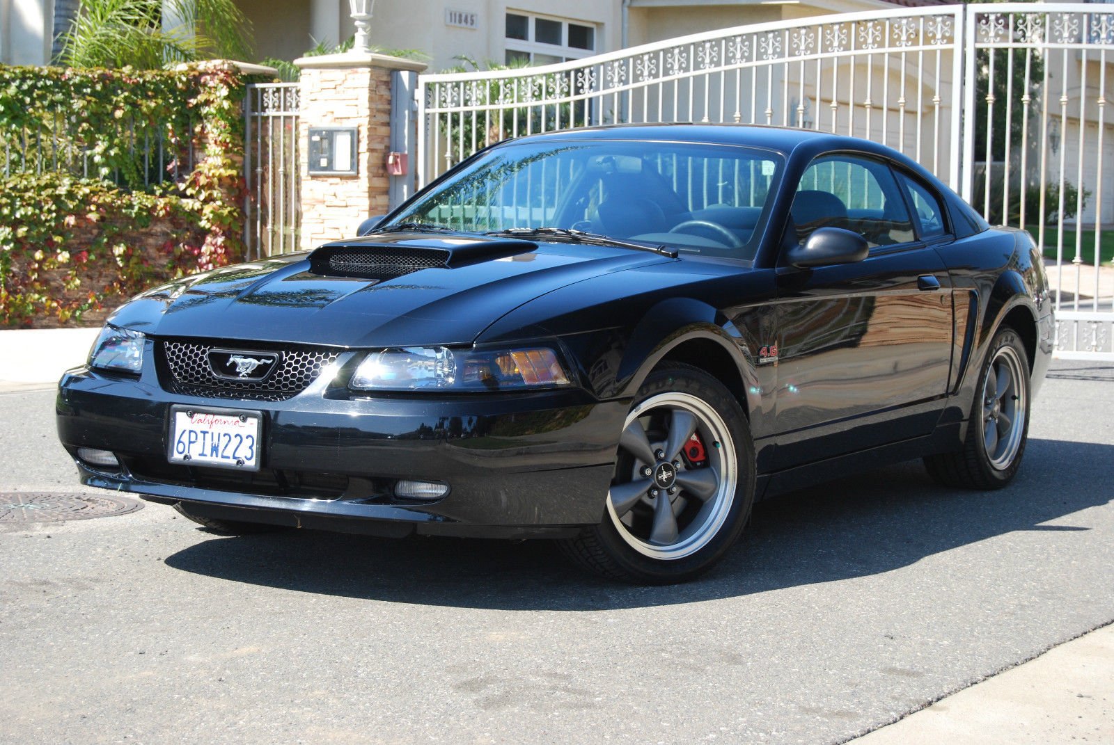 ford, Mustang, Muscle Wallpapers HD / Desktop and Mobile Backgrounds