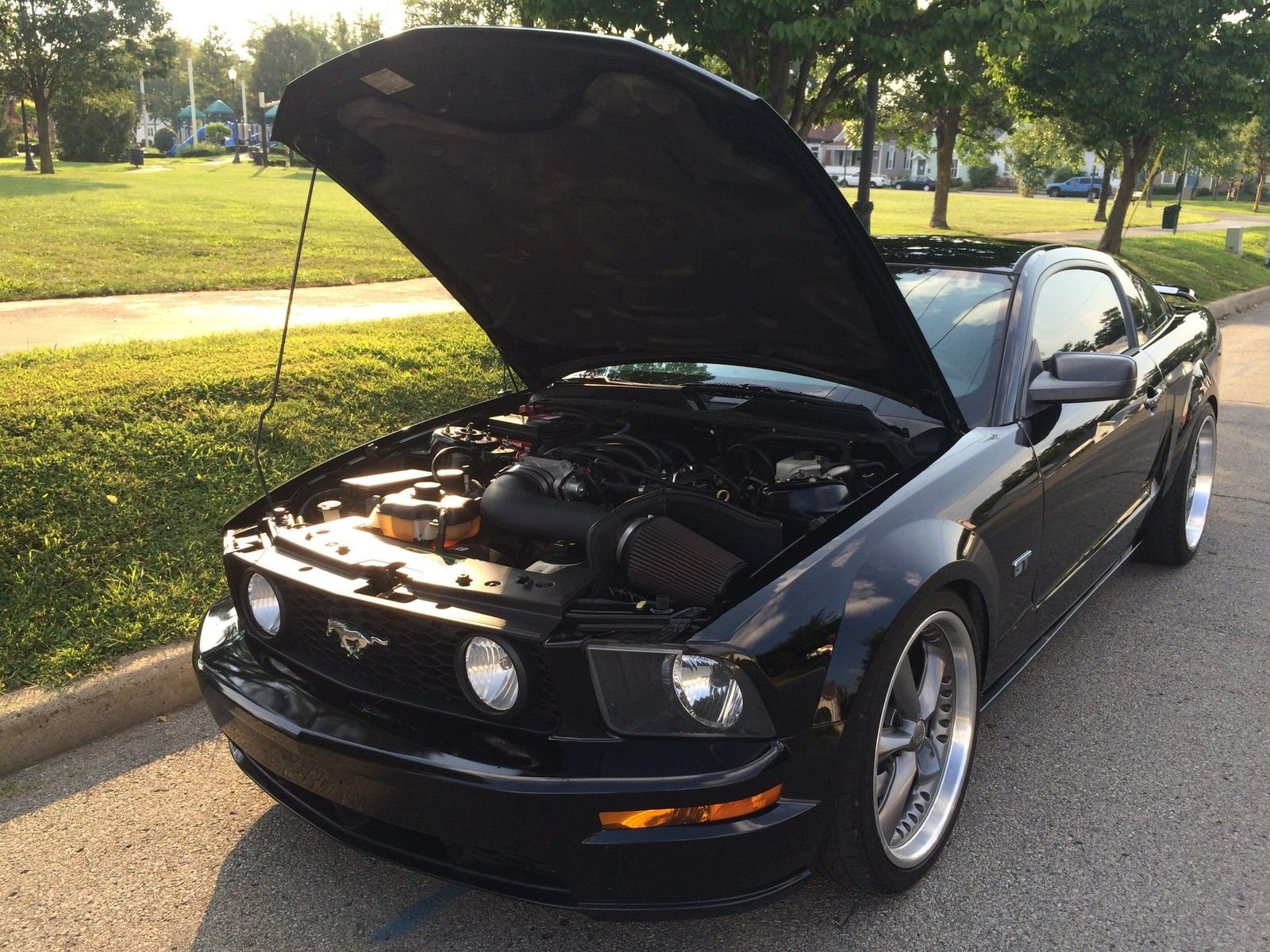 ford, Mustang, Muscle Wallpapers HD / Desktop and Mobile Backgrounds